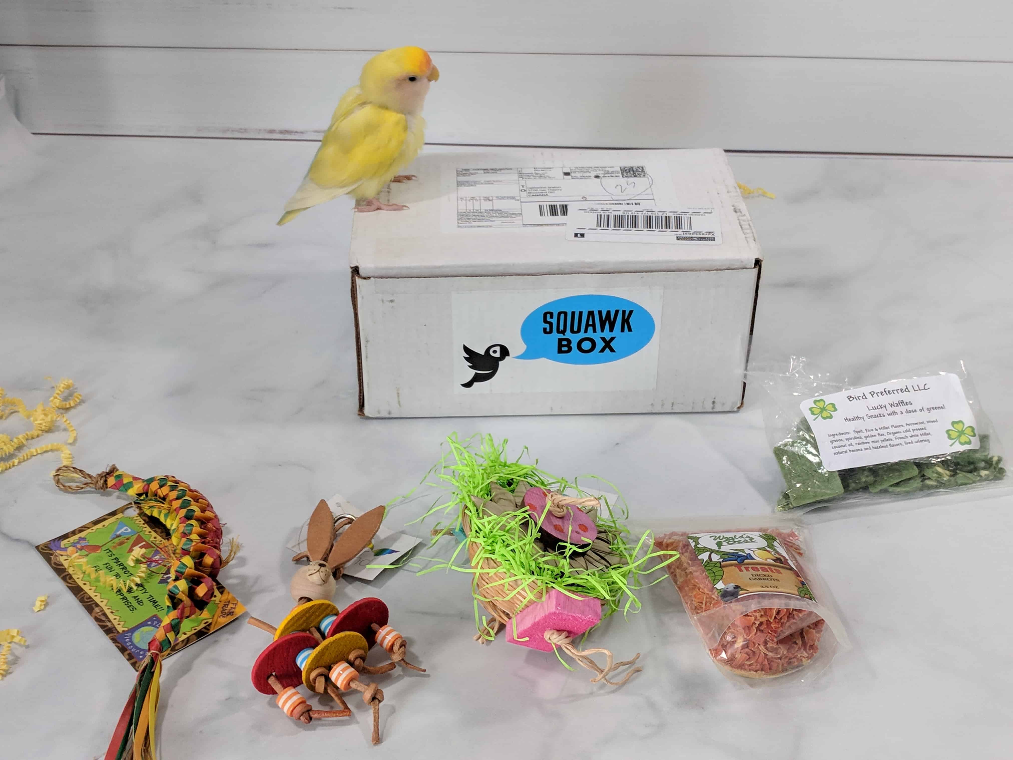 Squawk Box Subscription Review - March 2018 - Hello Subscription