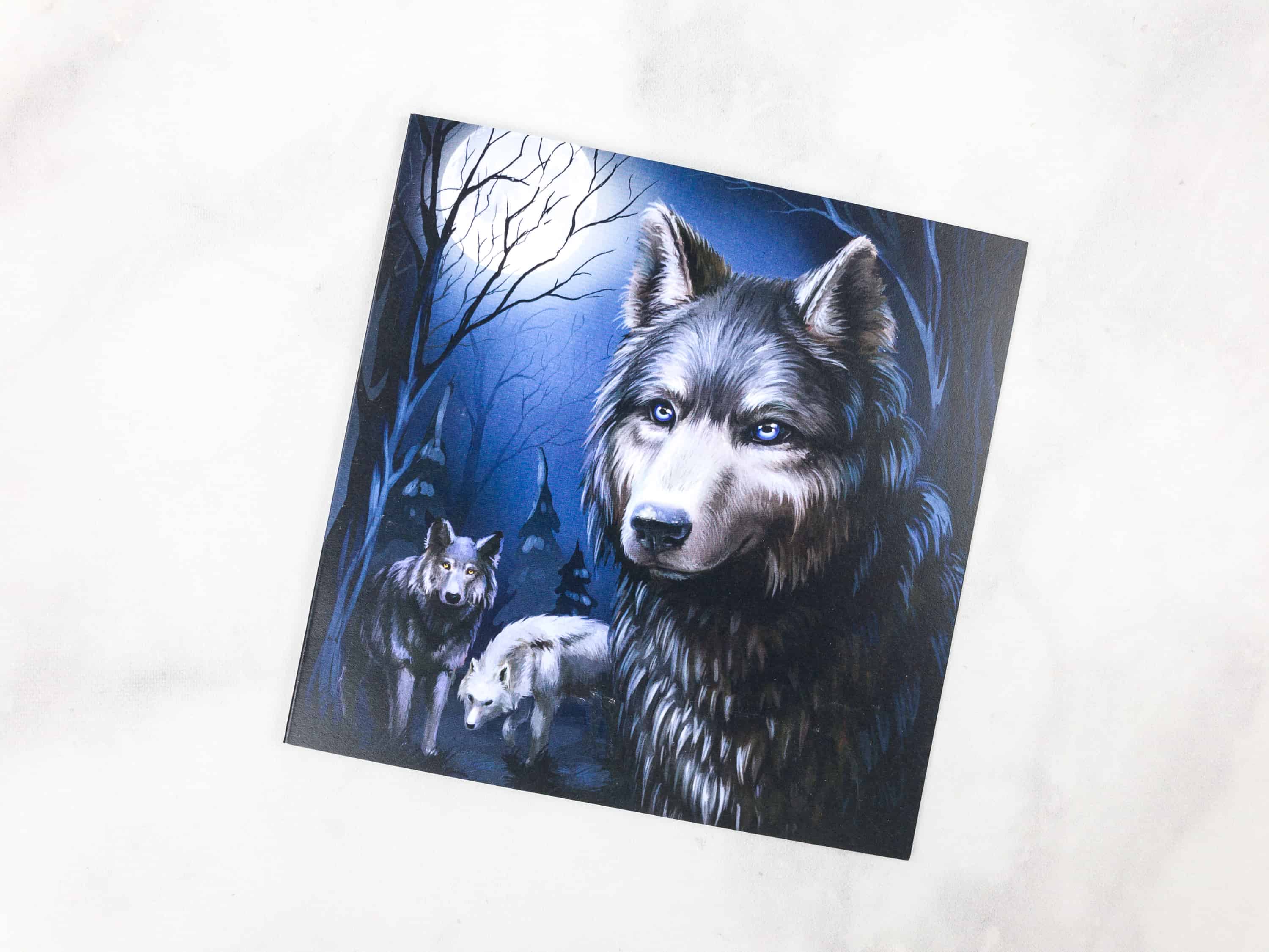 LitJoy Crate Spring 2018 Middle Grade Crate Subscription Box Review ...