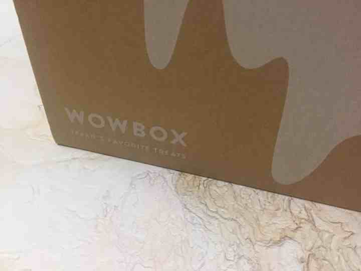 Wow Box New & Limited March 2018 Subscription Box Review - hello ...