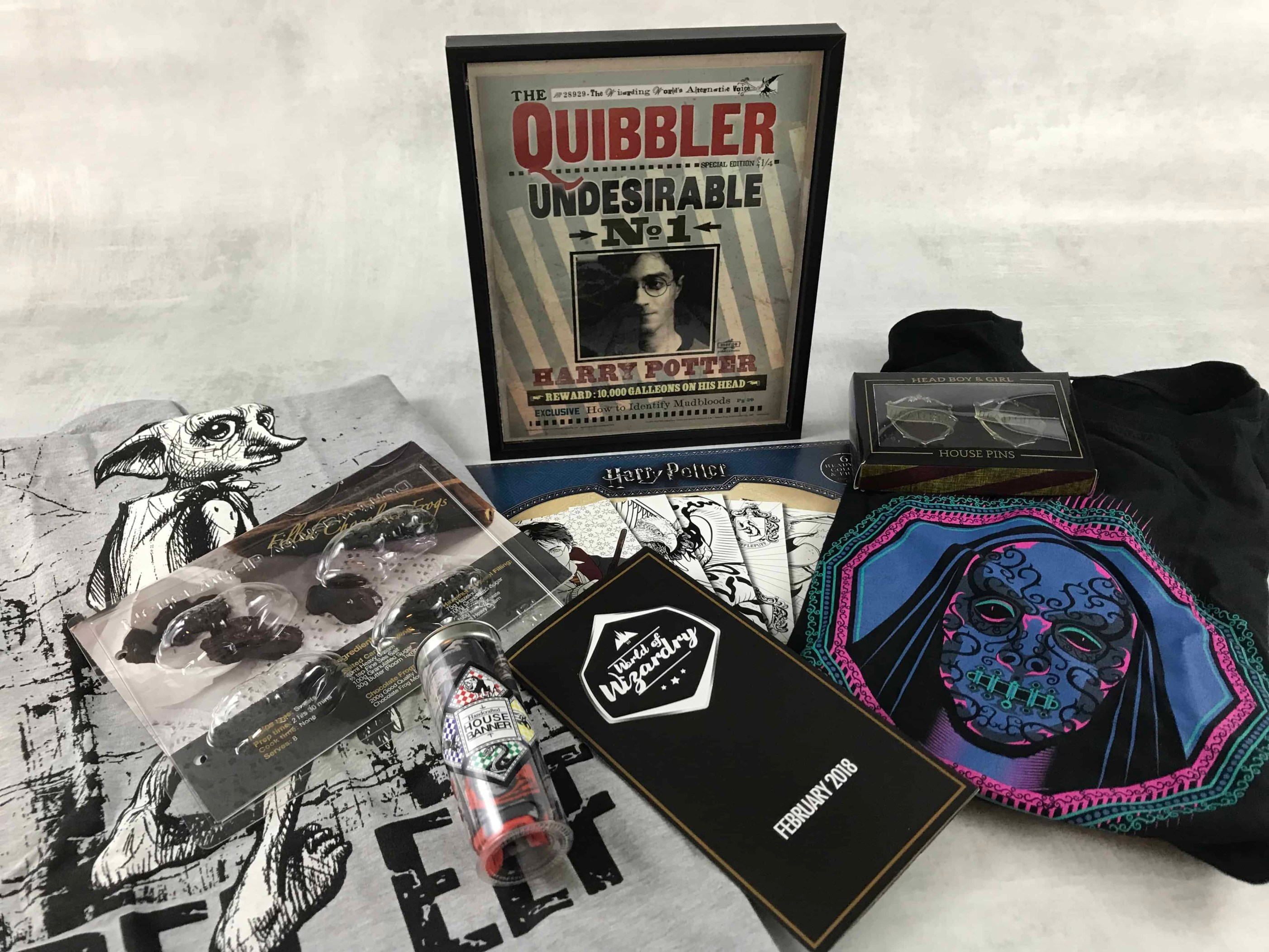Geek Gear World of Wizardry February 2018 Subscription Box Review ...