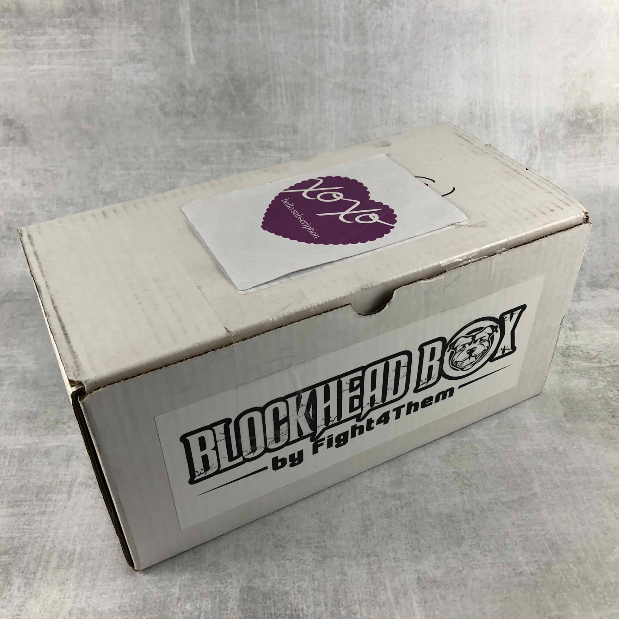 Blockhead Box March 2018 Subscription Box Review + Coupon - Hello ...