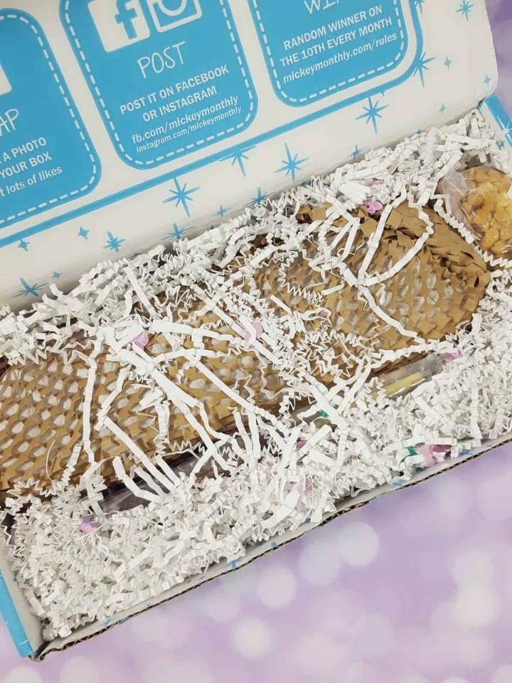 Mickey Monthly Subscription Box Review + Coupon - April 2018 - Hello ...