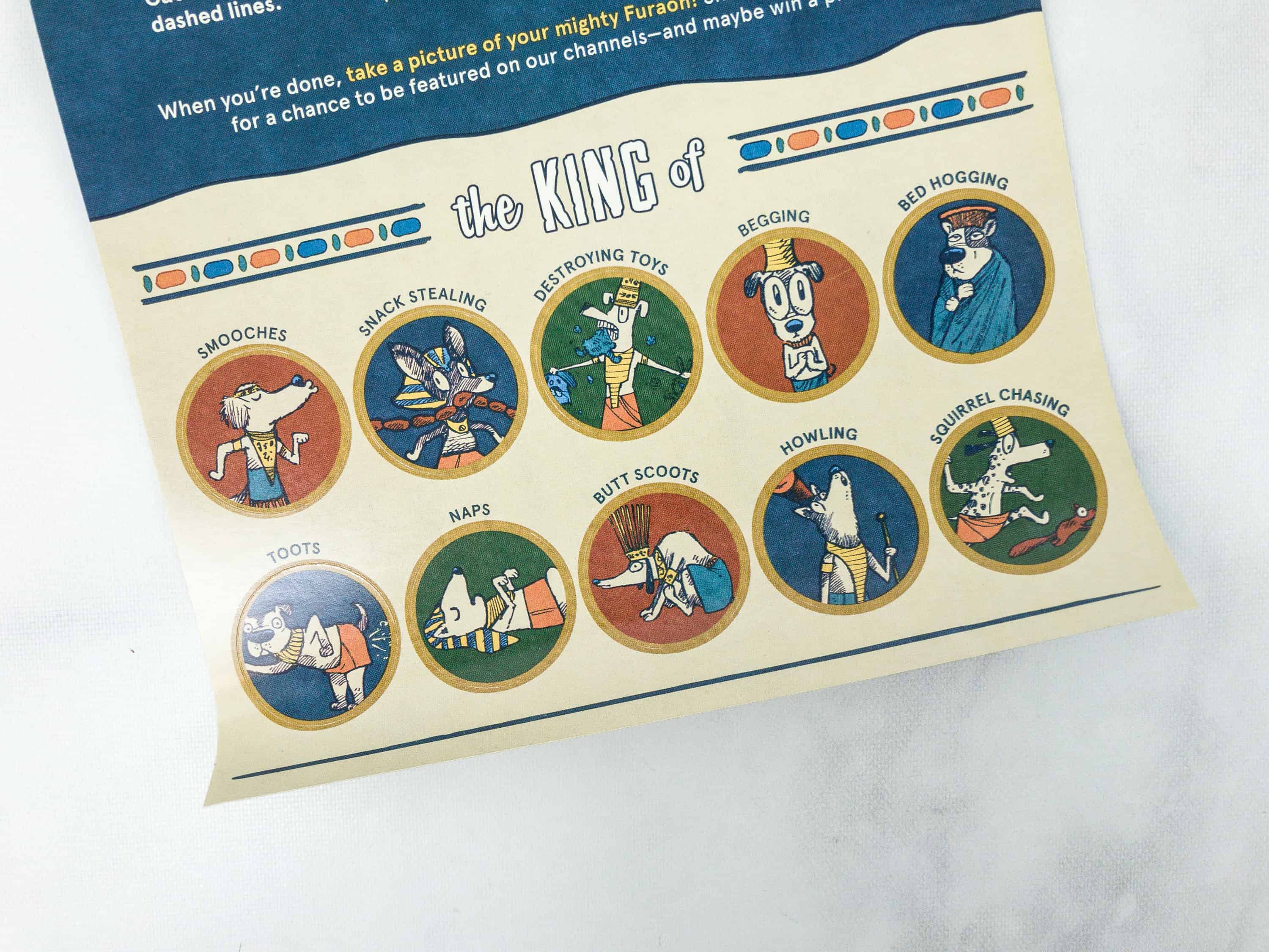 Barkbox May 2018 Subscription Box Review + Coupon - Hello Subscription