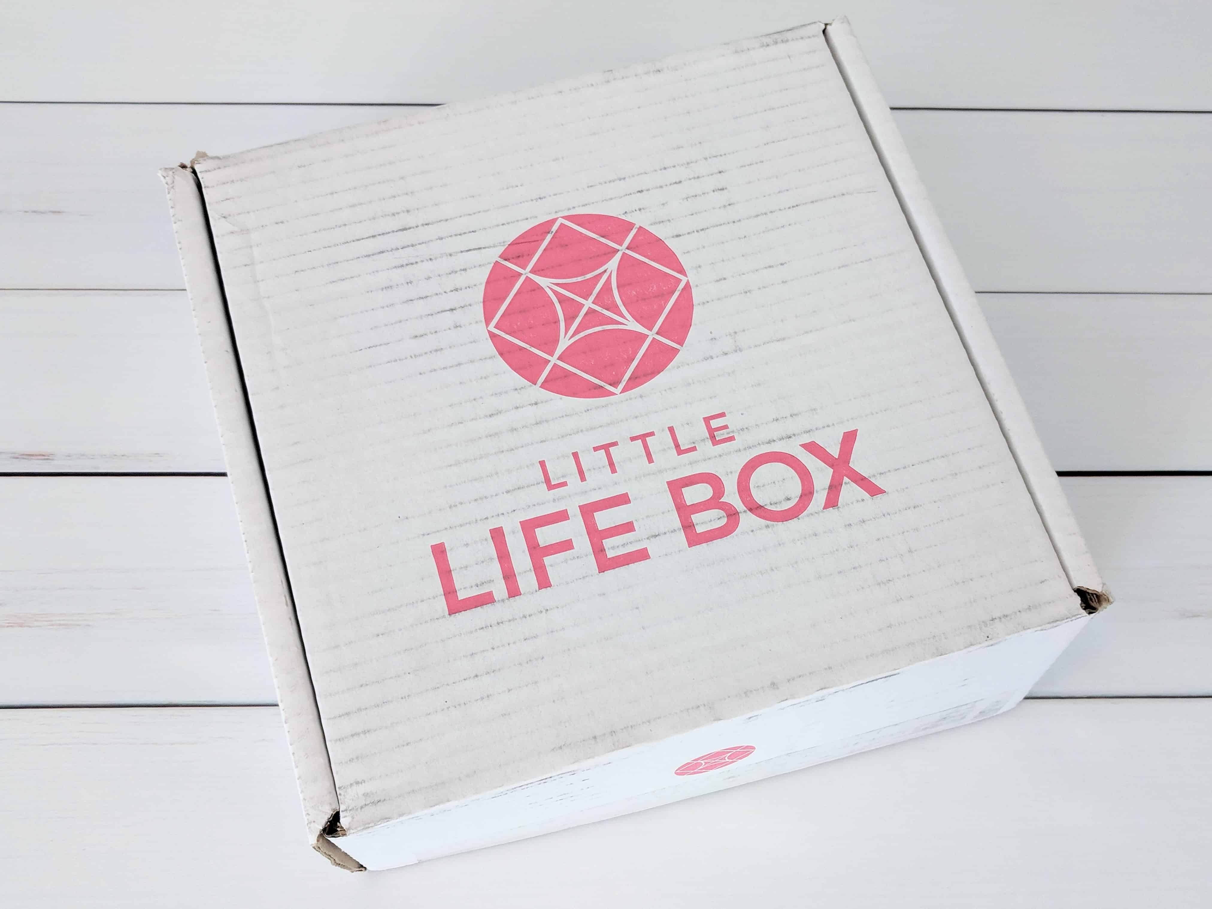 Little Life Box Subscription Box Review + Coupon - May 2018 - Hello ...