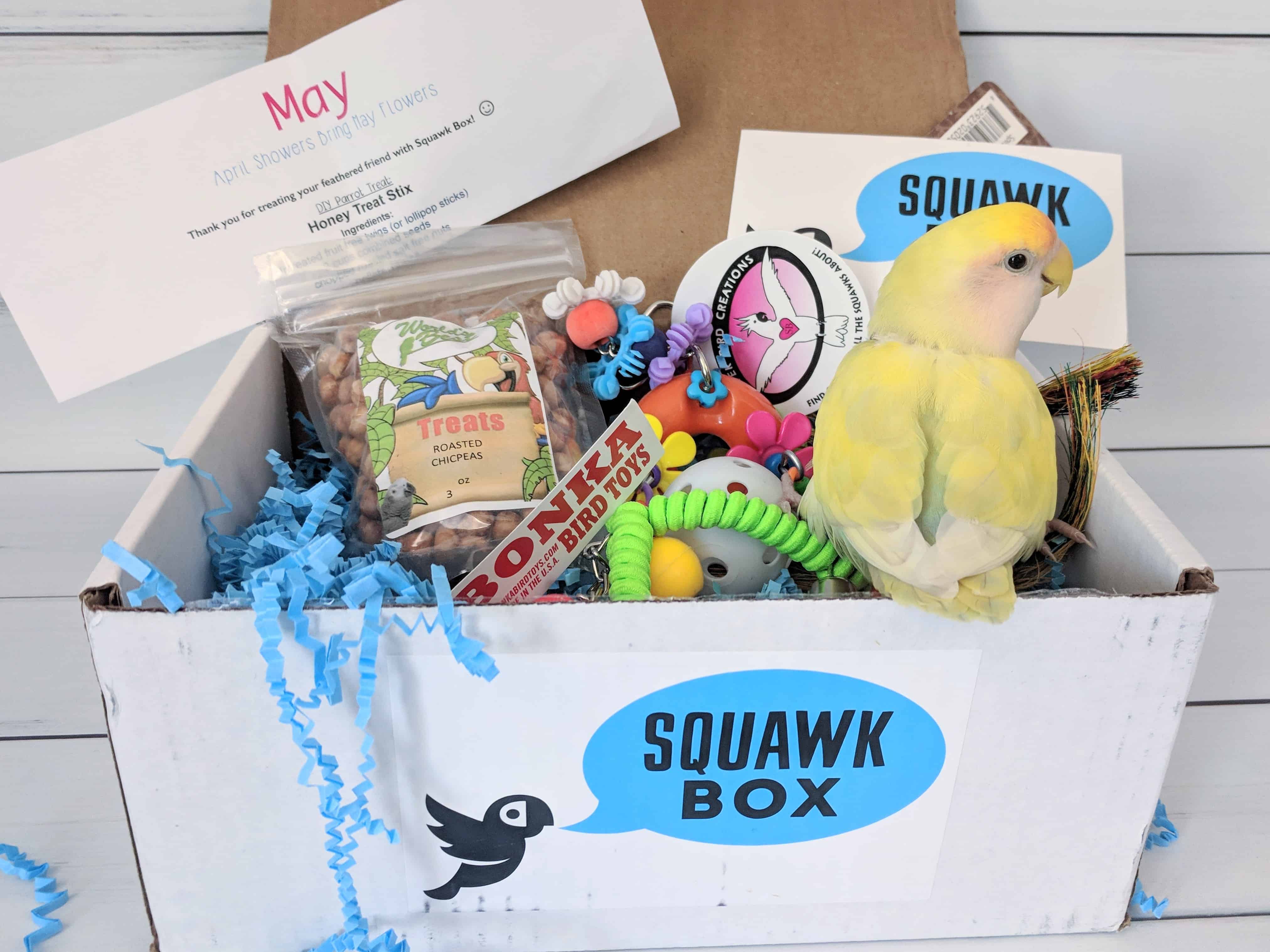 Squawk Box Subscription Review - May 2018 - Hello Subscription