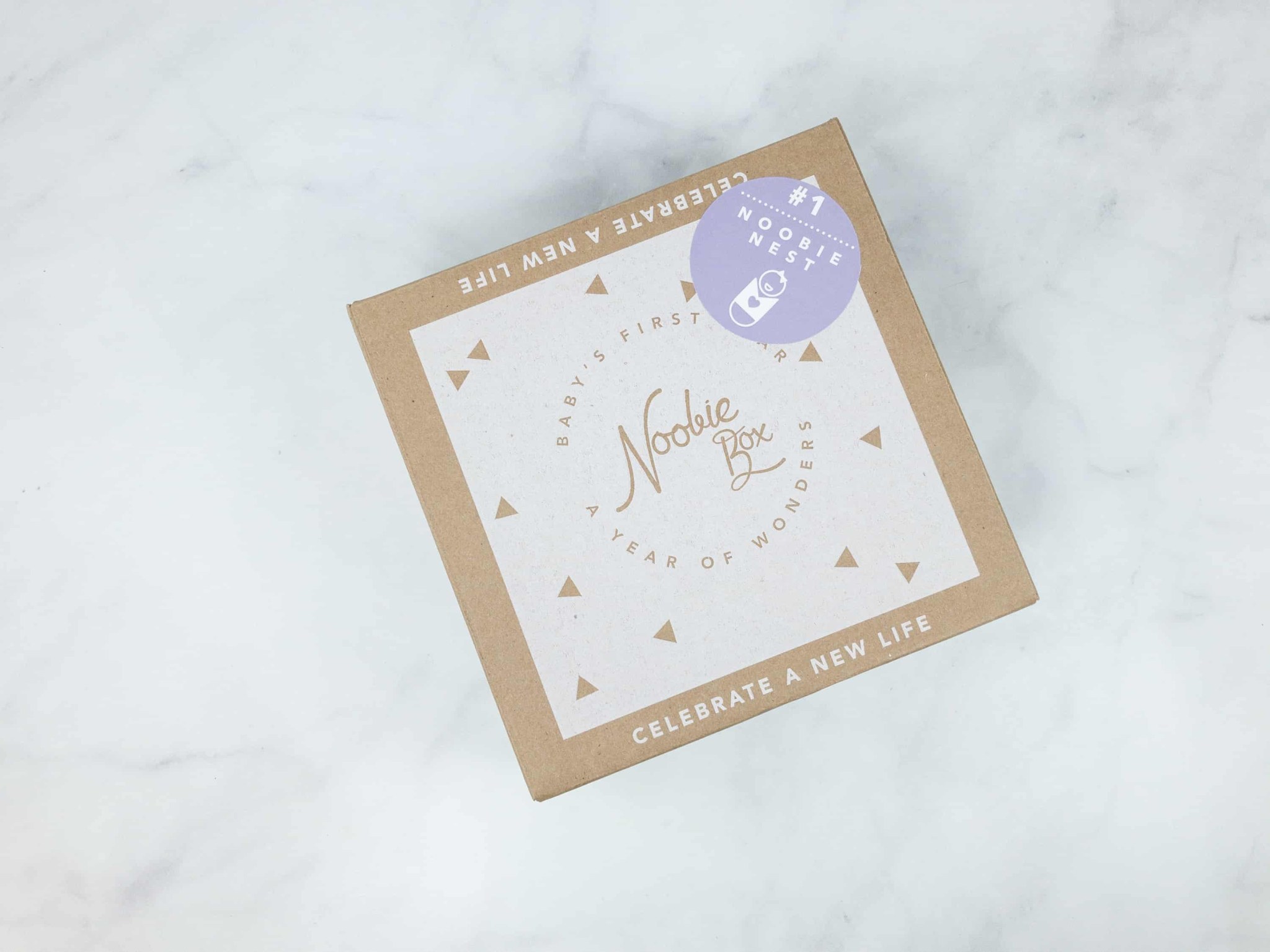 Noobie Box Milestone Box Review - Nest Box #1 - Hello Subscription
