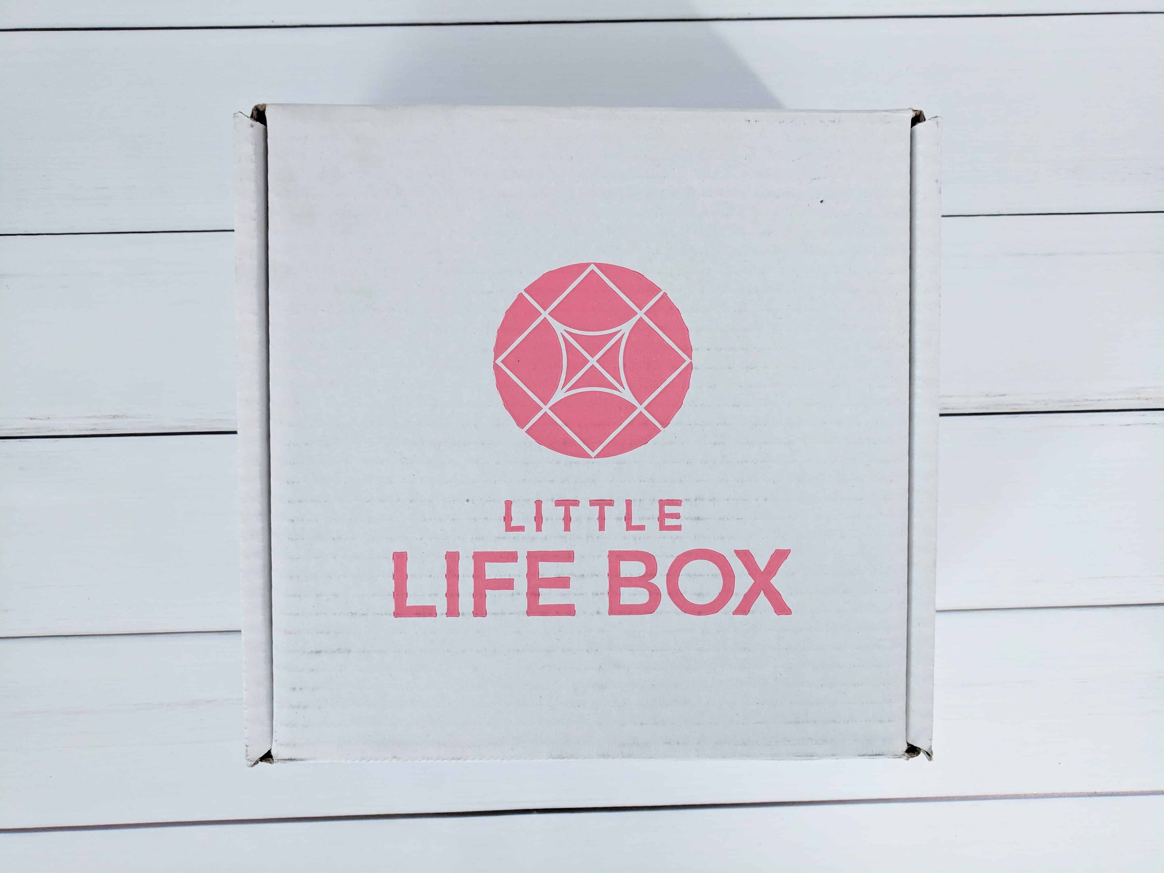 Little Life Box Subscription Box Review + Coupon - July 2018 - Hello ...