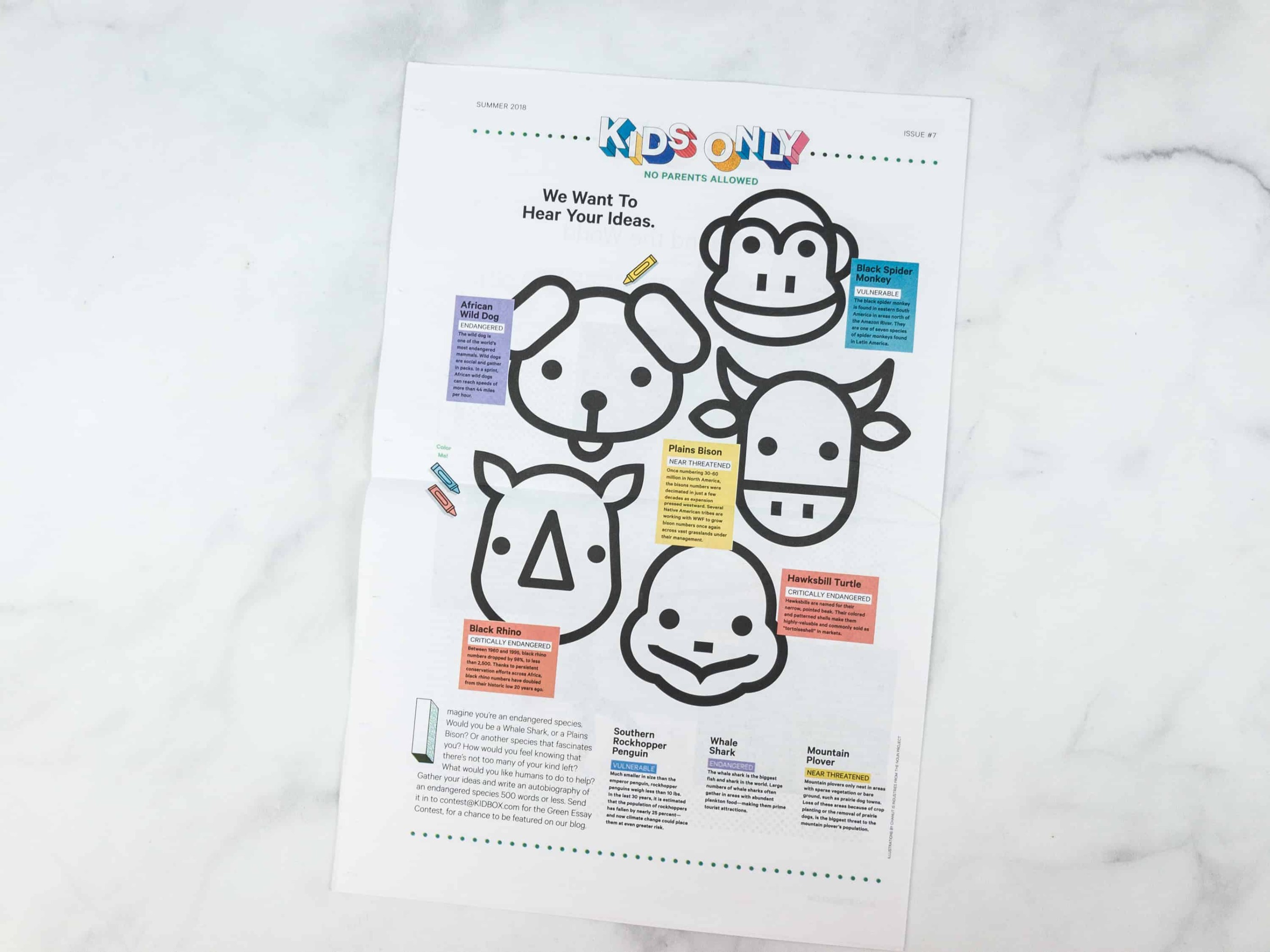 Kidbox BABY Summer 2018 Subscription Box Review + Coupon - Girls - Hello Subscription