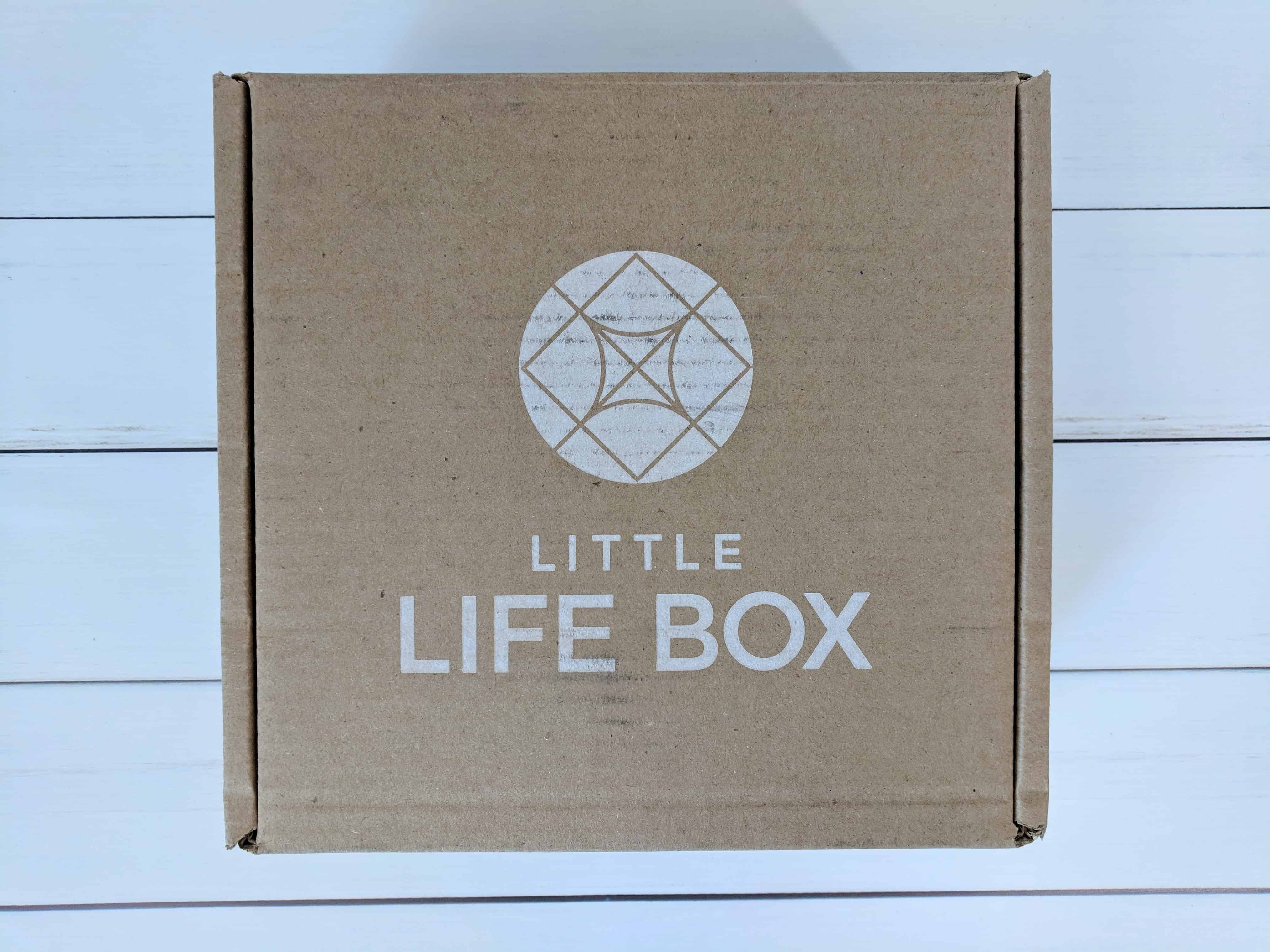 Little Life Box Subscription Box Review + Coupon - August 2018 - Hello ...
