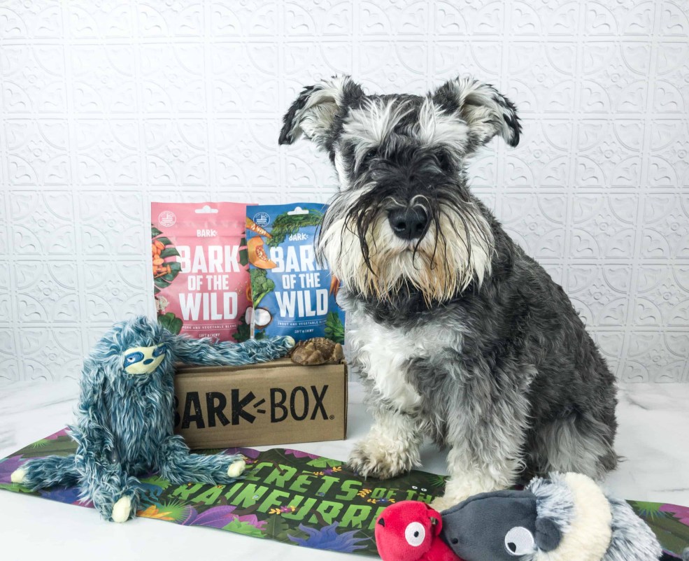 Barkbox August 2018 Subscription Box Review + Coupon - hello subscription