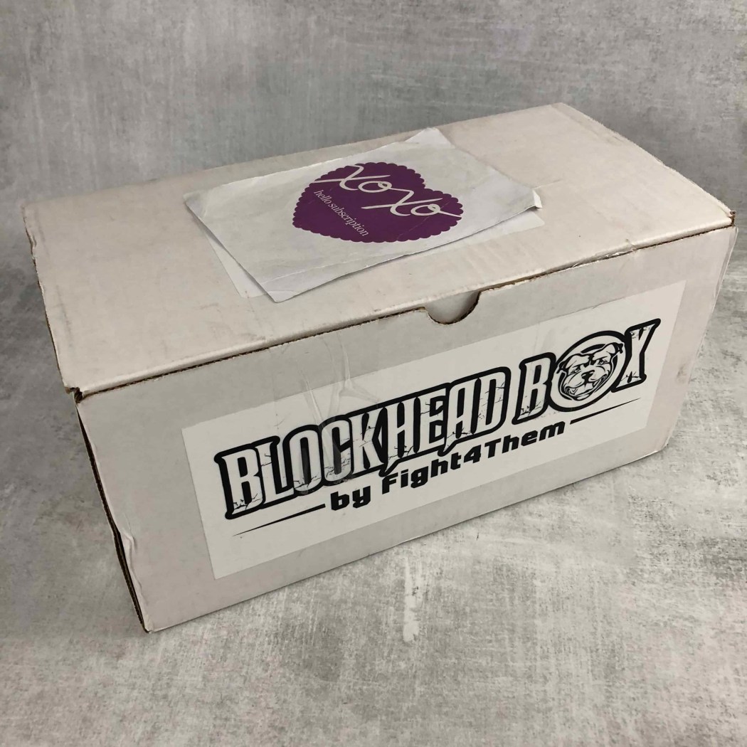 Blockhead Box August 2018 Subscription Box Review + Coupon - Hello ...