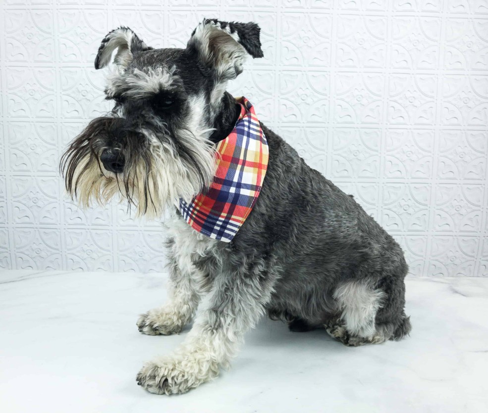 The Dapper Dog Box September 2018 Subscription Box Review + Coupon ...