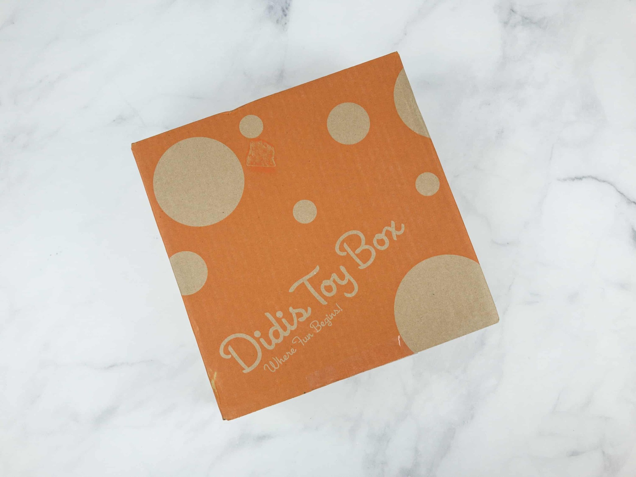 Didis Toy Box October 2018 Subscription Box Review & Coupon - Hello ...