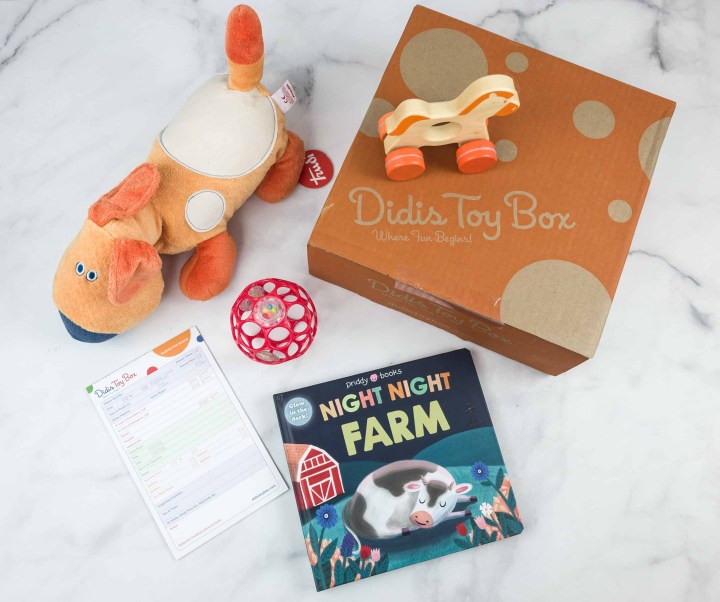 Didis Toy Box October 2018 Subscription Box Review & Coupon - Hello ...