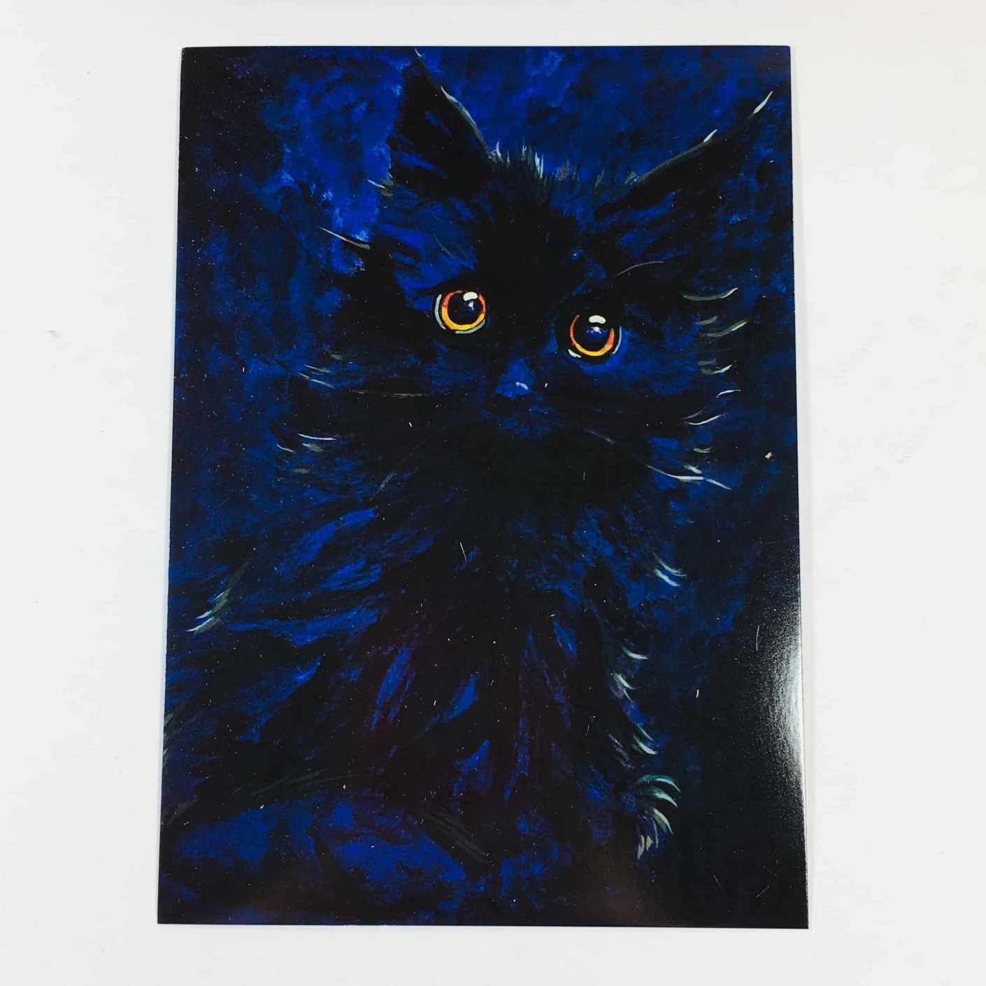 Cat Lady Box October 2018 Subscription Box Review + Coupon - Hello ...