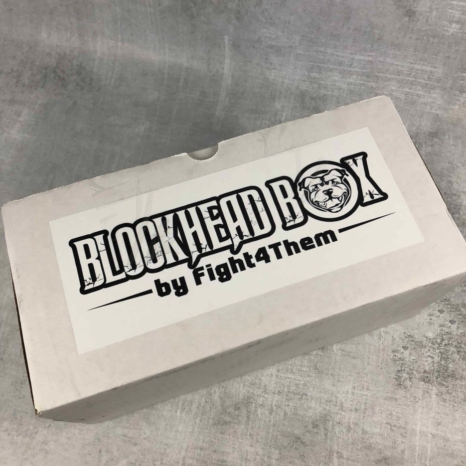 Blockhead Box September 2018 Subscription Box Review + Coupon - Hello ...