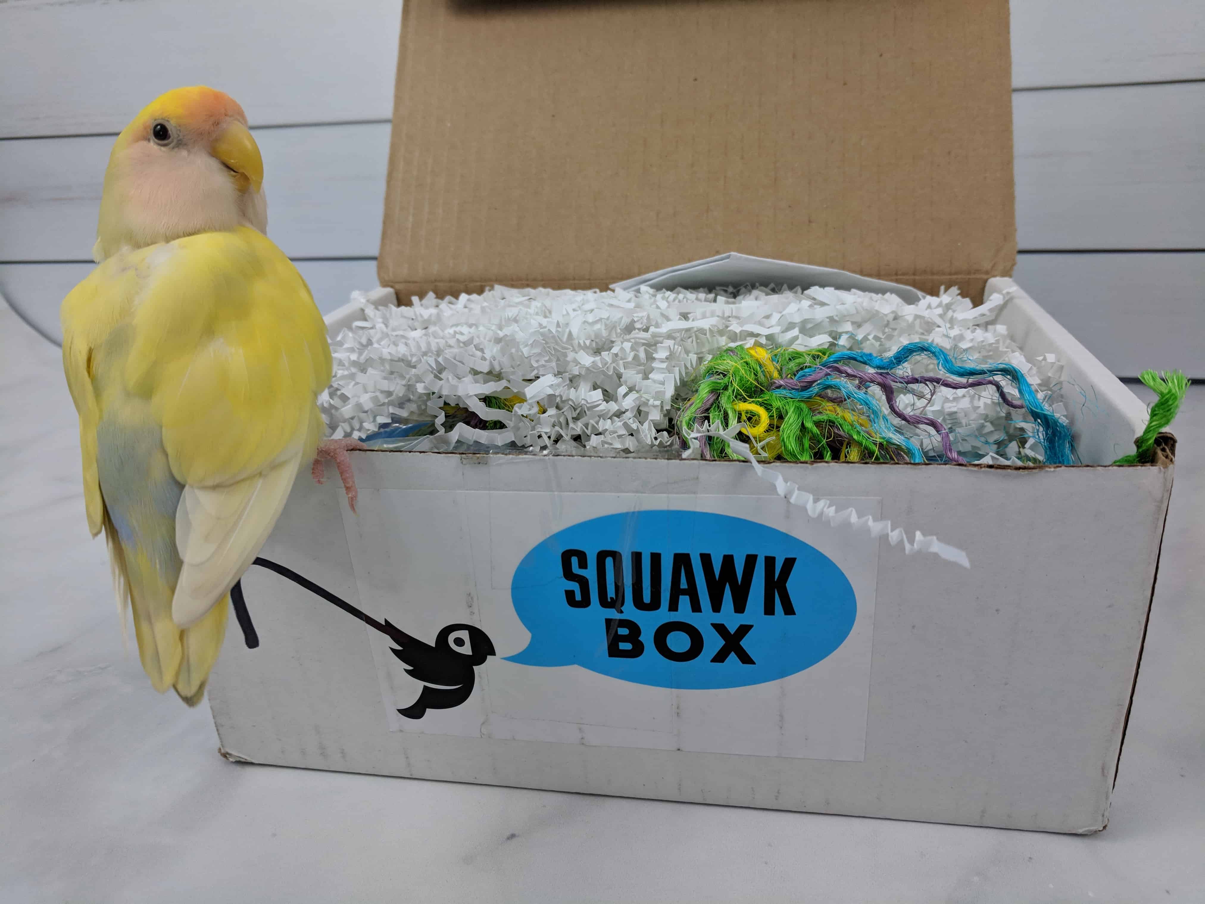 Squawk Box Subscription Review - September 2018 - Hello Subscription