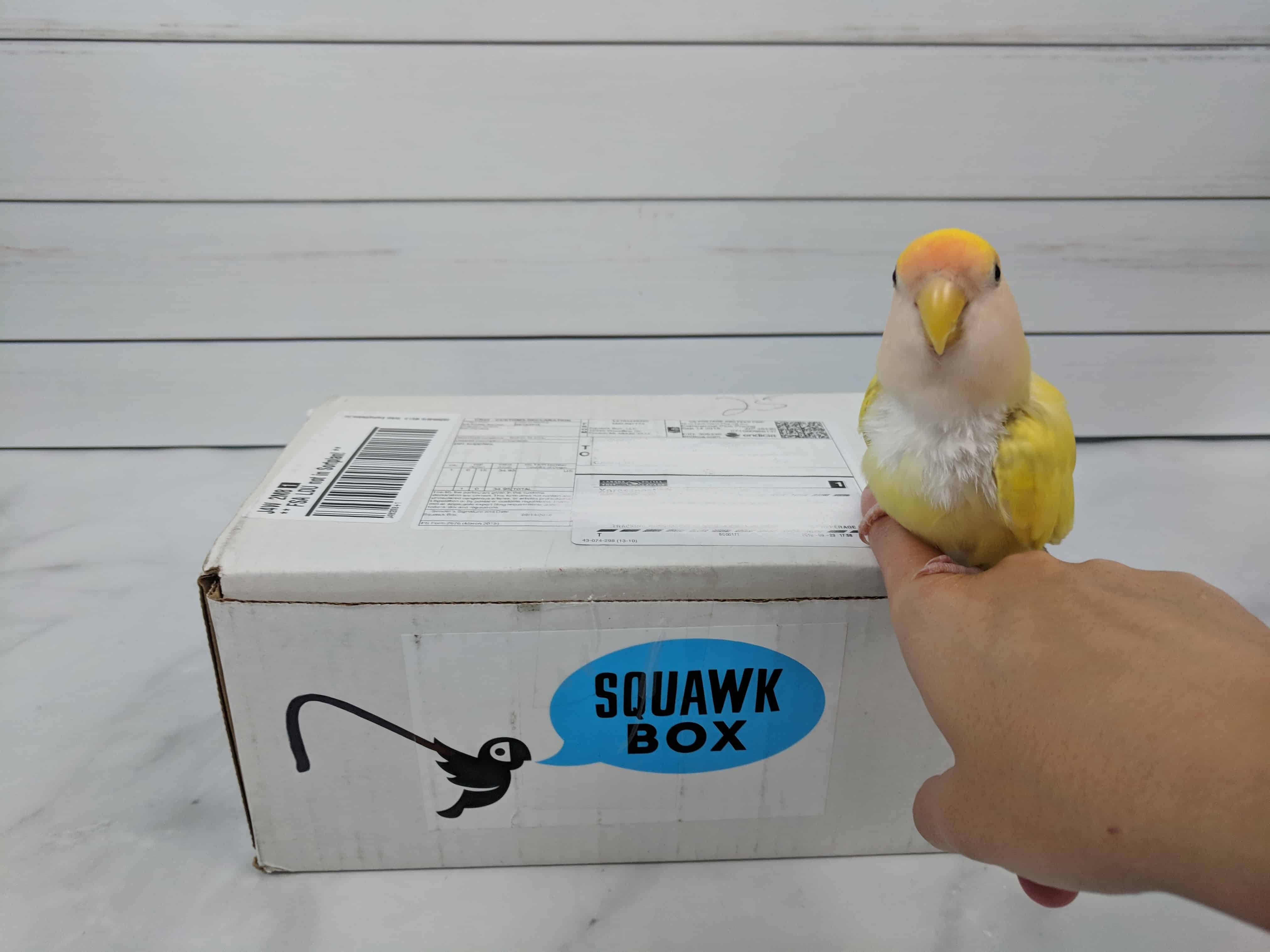 Squawk Box Subscription Review - September 2018 - Hello Subscription