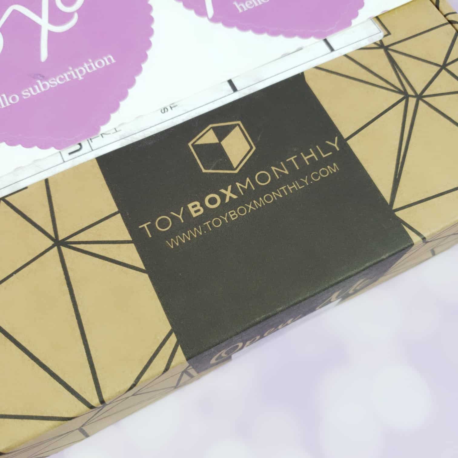 Toy Box Monthly September 2018 Subscription Box Review - Hello Subscription