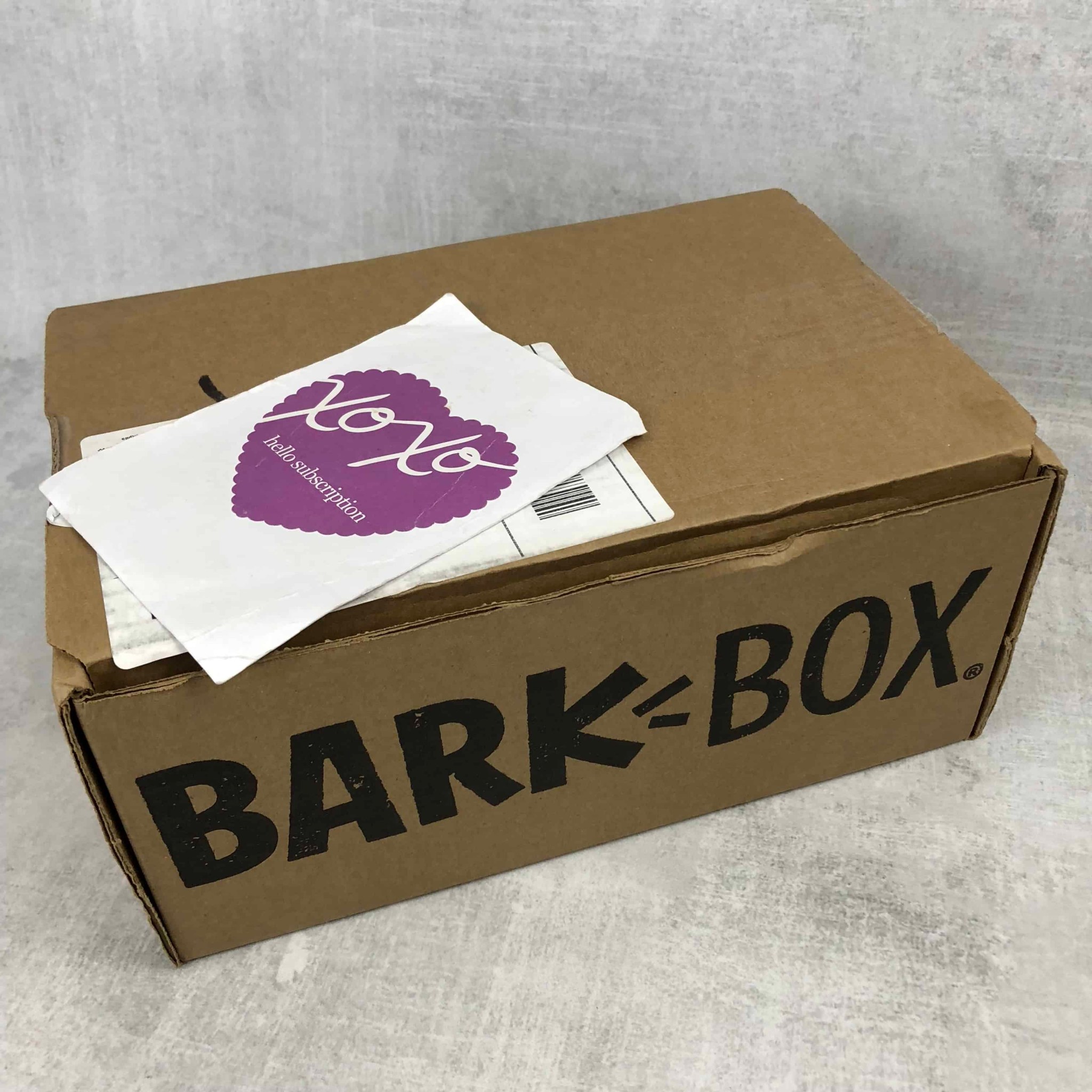 Barkbox October 2018 Subscription Box Review + Coupon - Large Dog ...