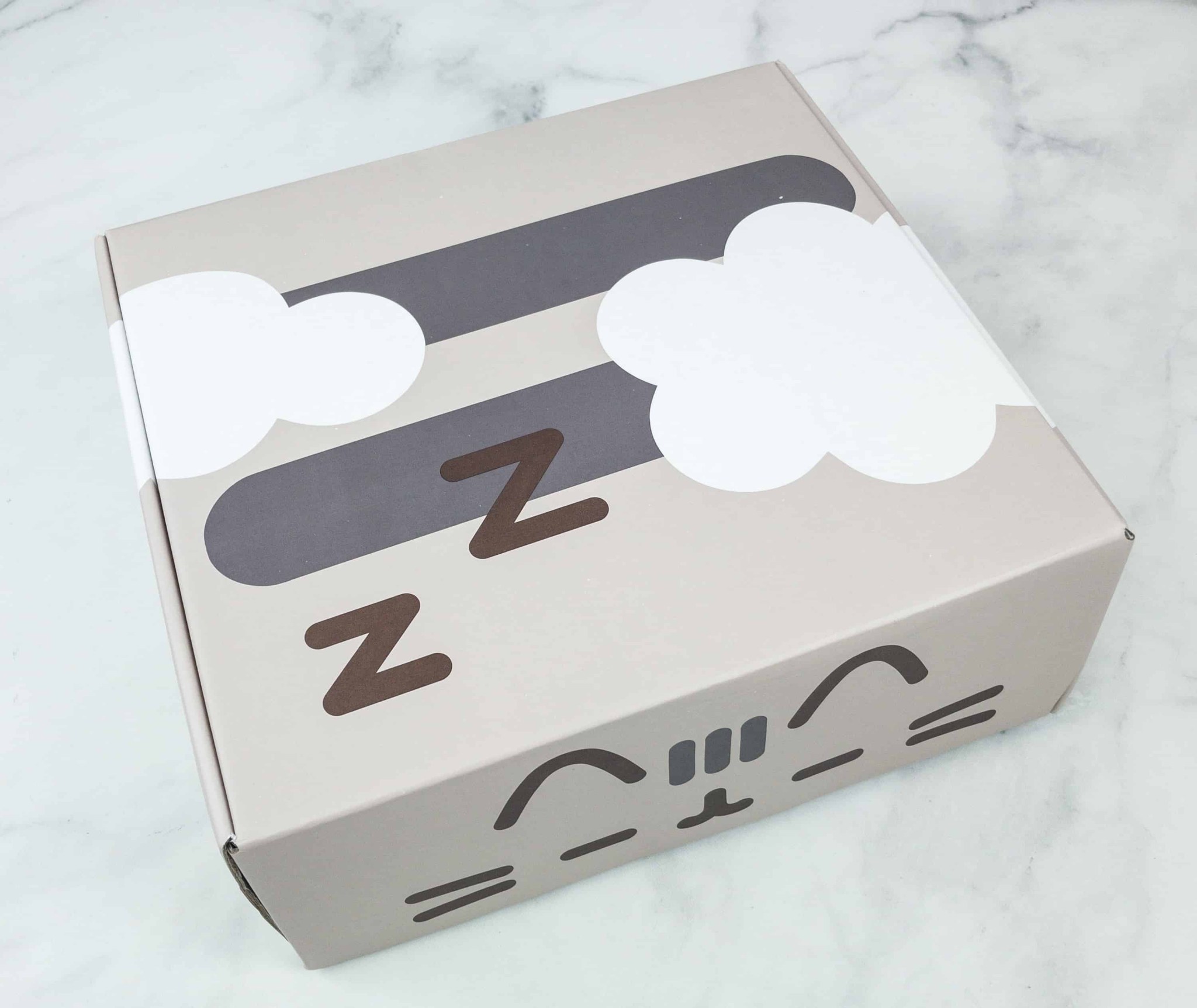 Pusheen Box Fall 2018 Subscription Box Review - Hello Subscription