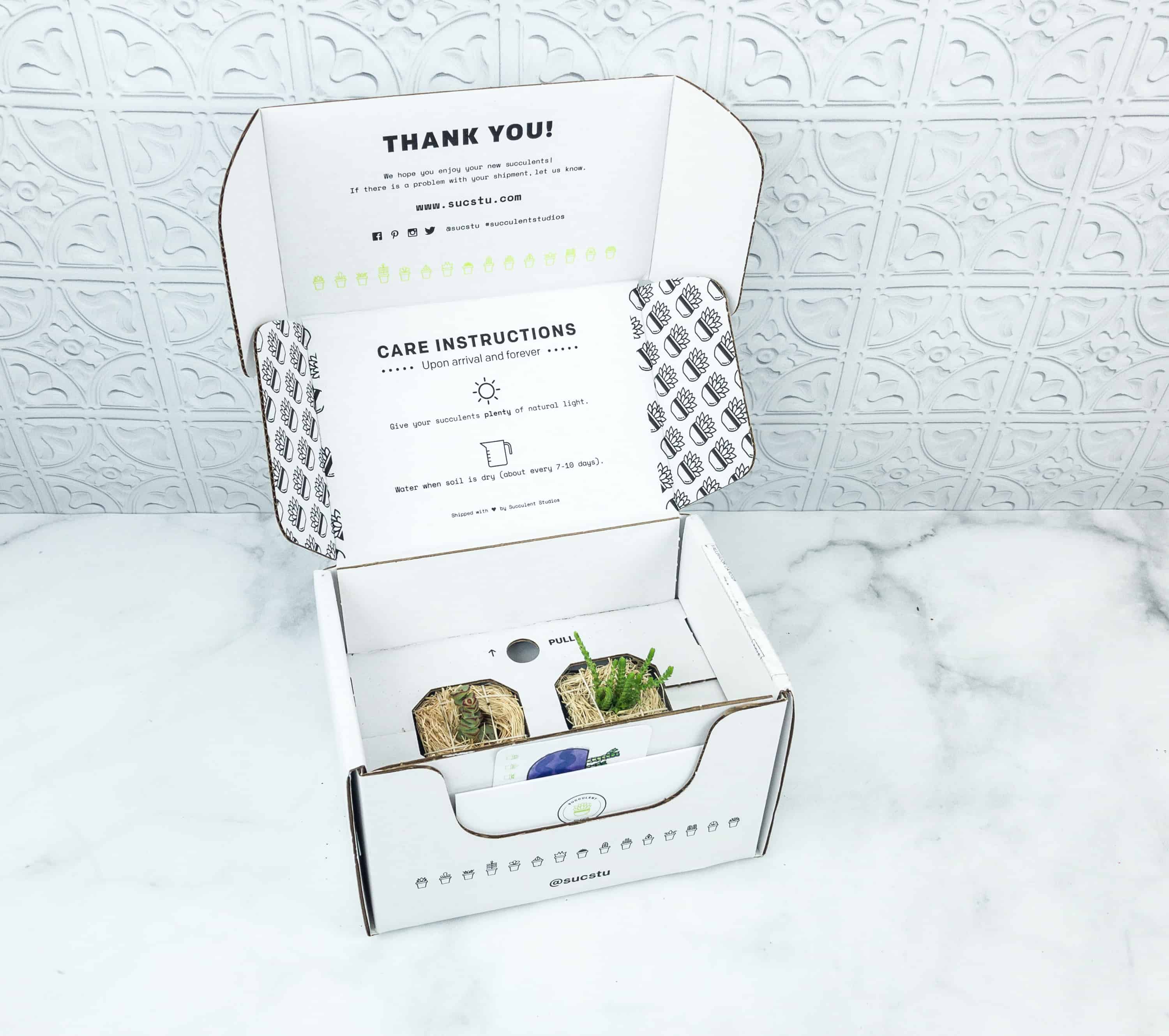 Succulent Studios Subscription Box Review + Coupon - Hello Subscription