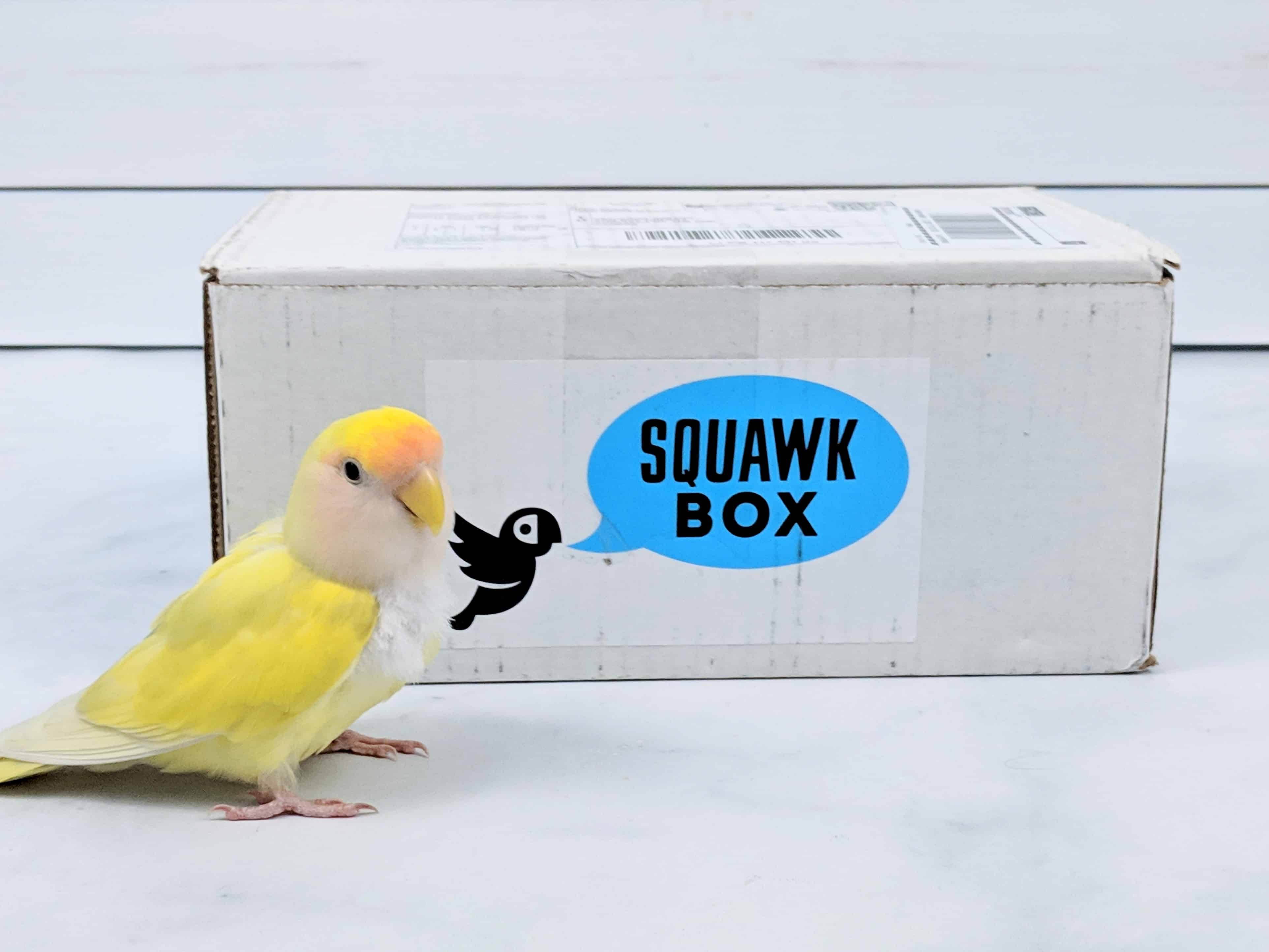 Squawk Box Subscription Review - November 2018 - Hello Subscription