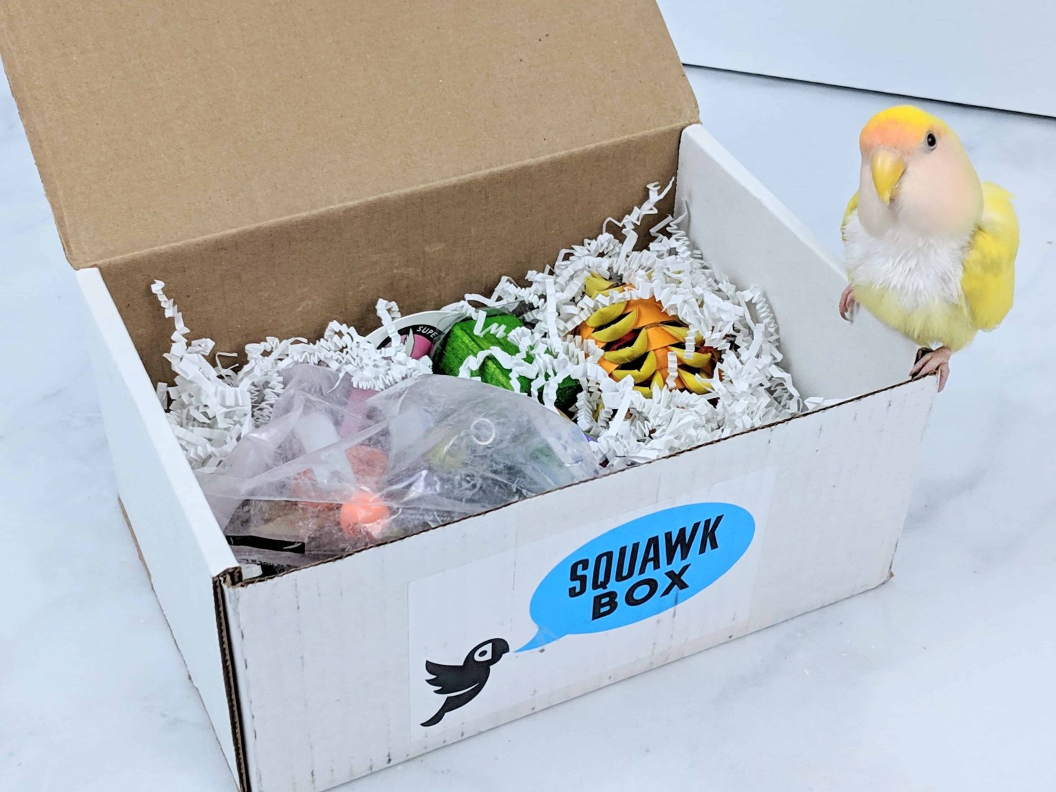 Squawk Box Subscription Review - November 2018 - Hello Subscription