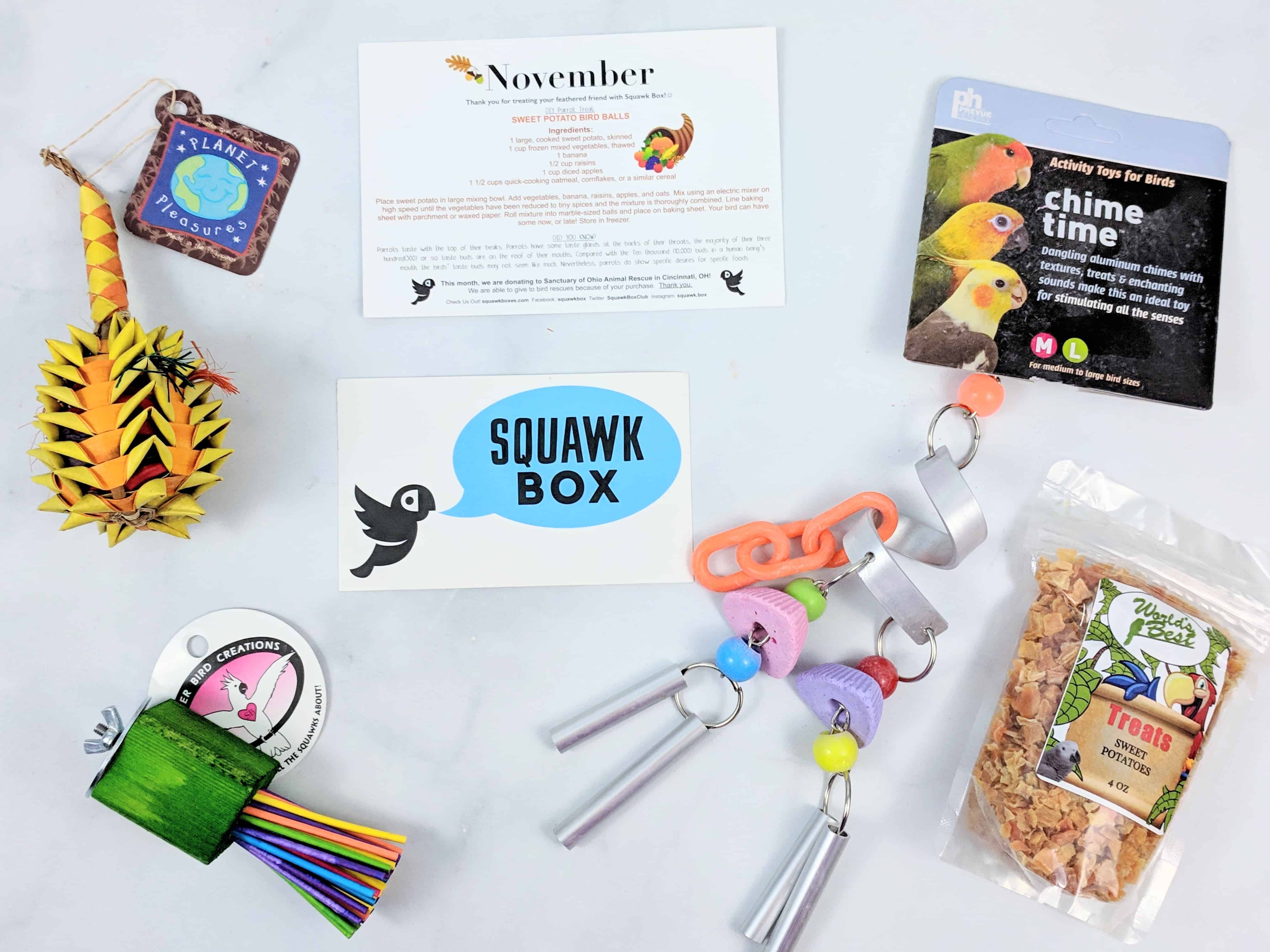 Squawk Box Subscription Review - November 2018 - Hello Subscription