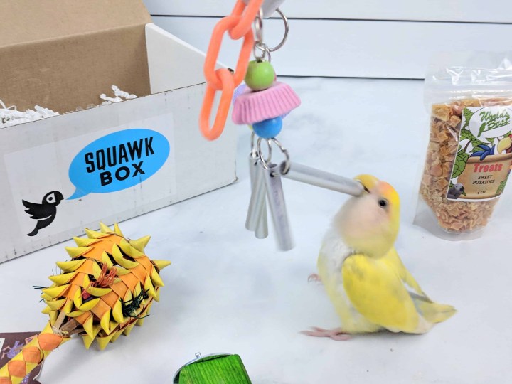 Squawk Box Subscription Review - November 2018 - hello subscription