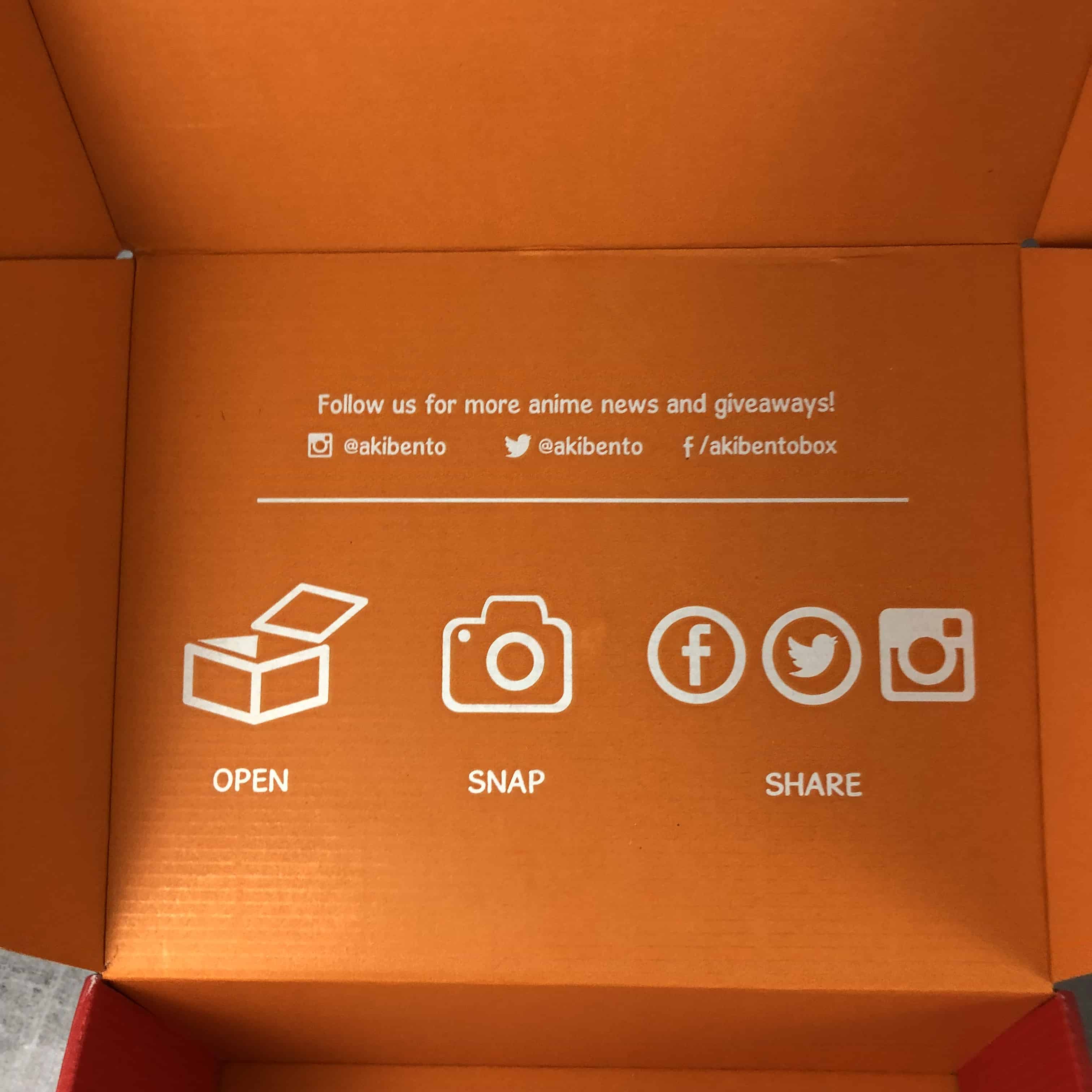 Akibento November 2018 Subscription Box Review & Coupon - FIGHT - Hello ...