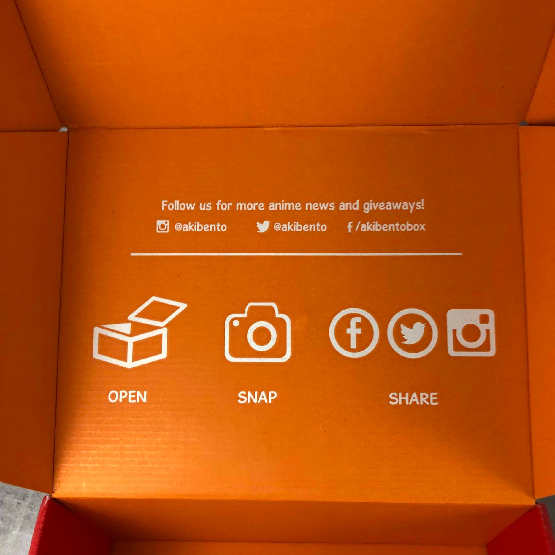 Akibento November 2018 Subscription Box Review & Coupon - FIGHT - Hello ...