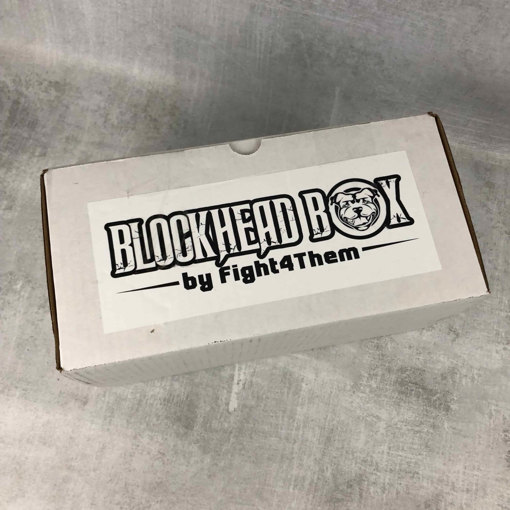 Blockhead Box November 2018 Subscription Box Review + Coupon - Hello ...