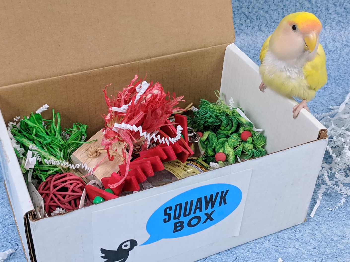 Squawk Box December 2018 Subscription Review - Hello Subscription