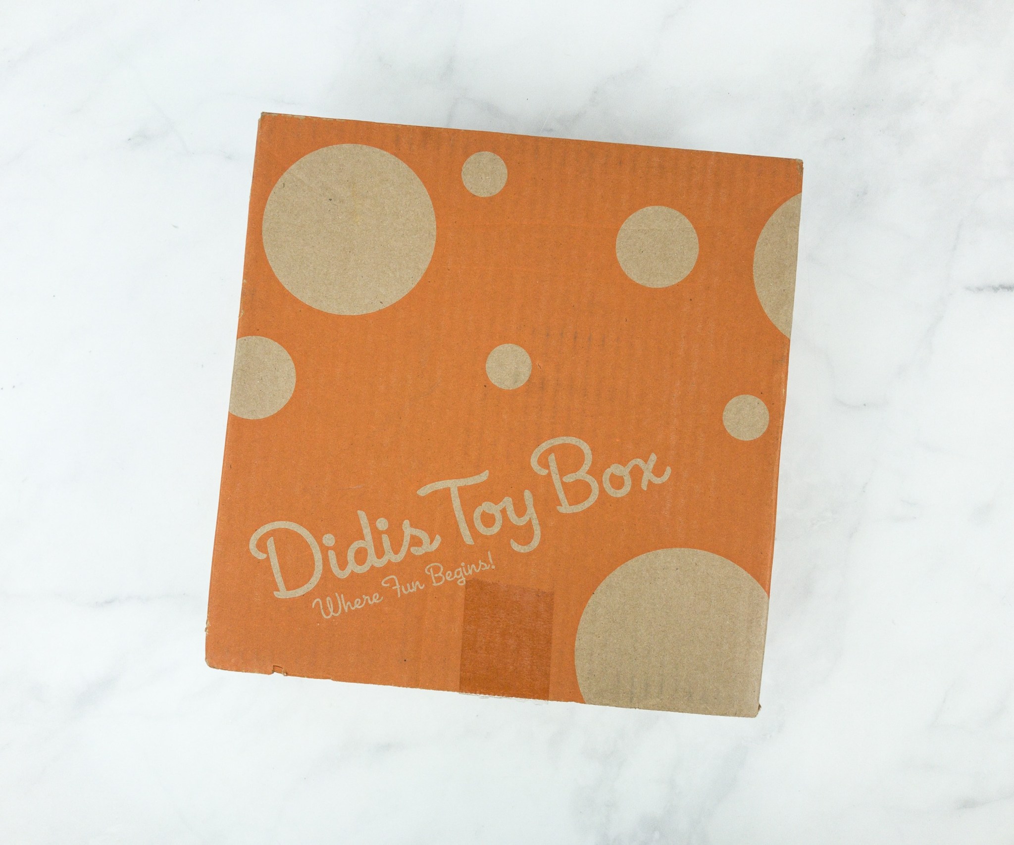 Didis Toy Box January 2019 Subscription Box Review & Coupon - Hello ...