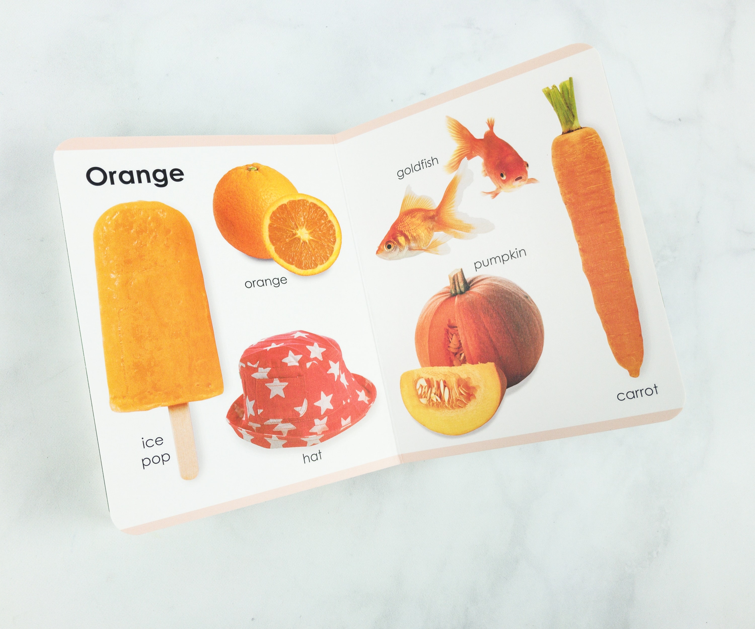 Didis Toy Box January 2019 Subscription Box Review & Coupon - hello ...