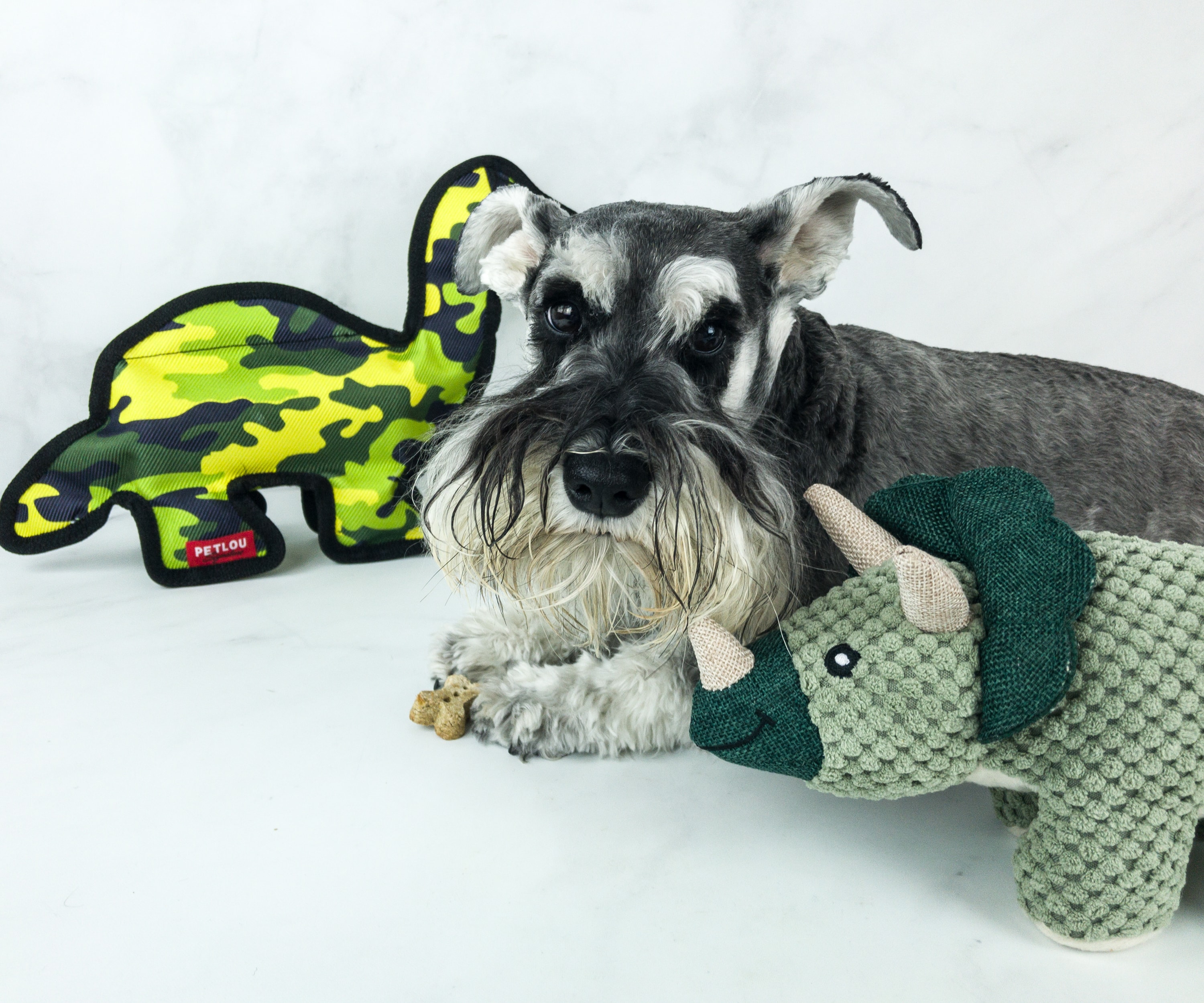 PetGiftBox January 2019 Subscription Box Review + 50% Off Coupon ...