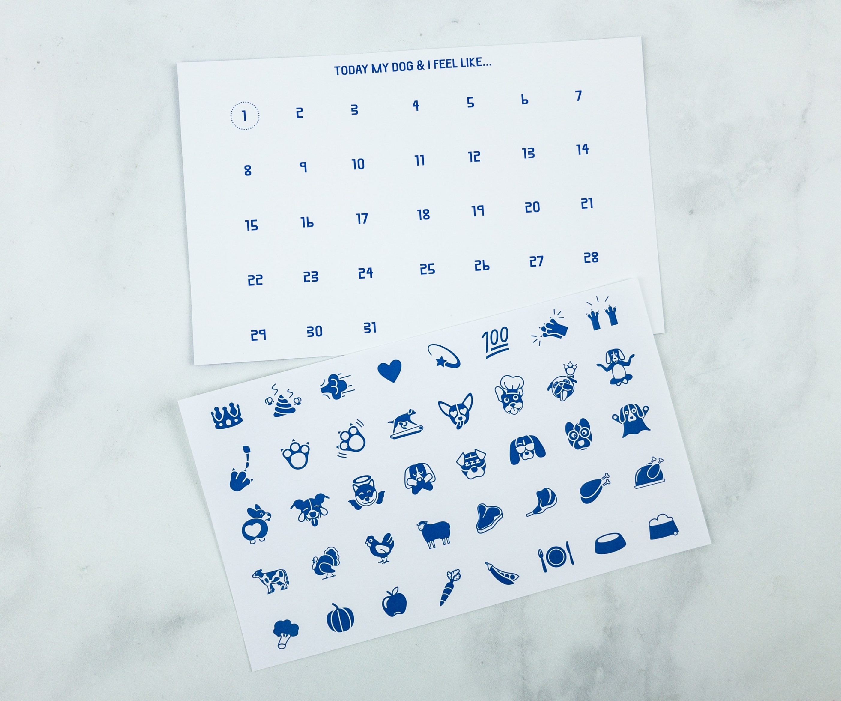 PetPlate Dog Food Subscription Review + Coupon - LICKIN' LAMB! - hello ...