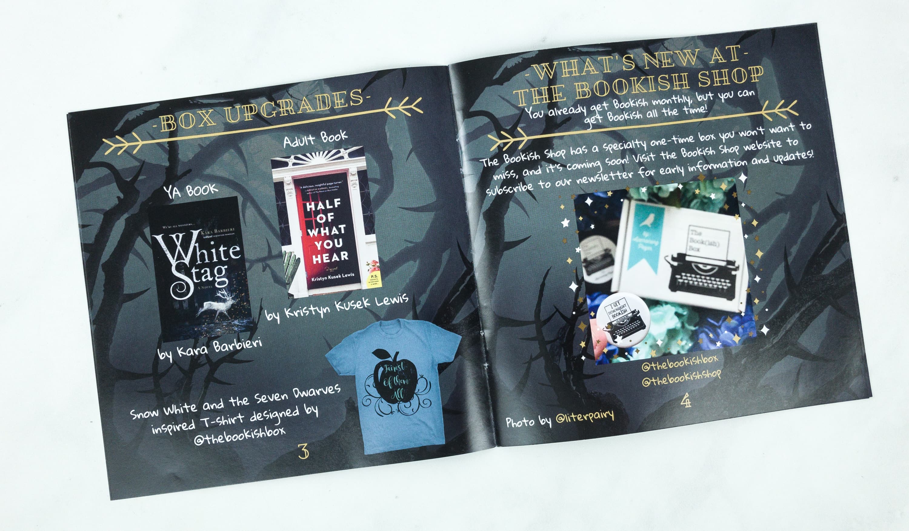 The Bookish Box January 2019 Subscription Box Review + Coupon - Hello ...