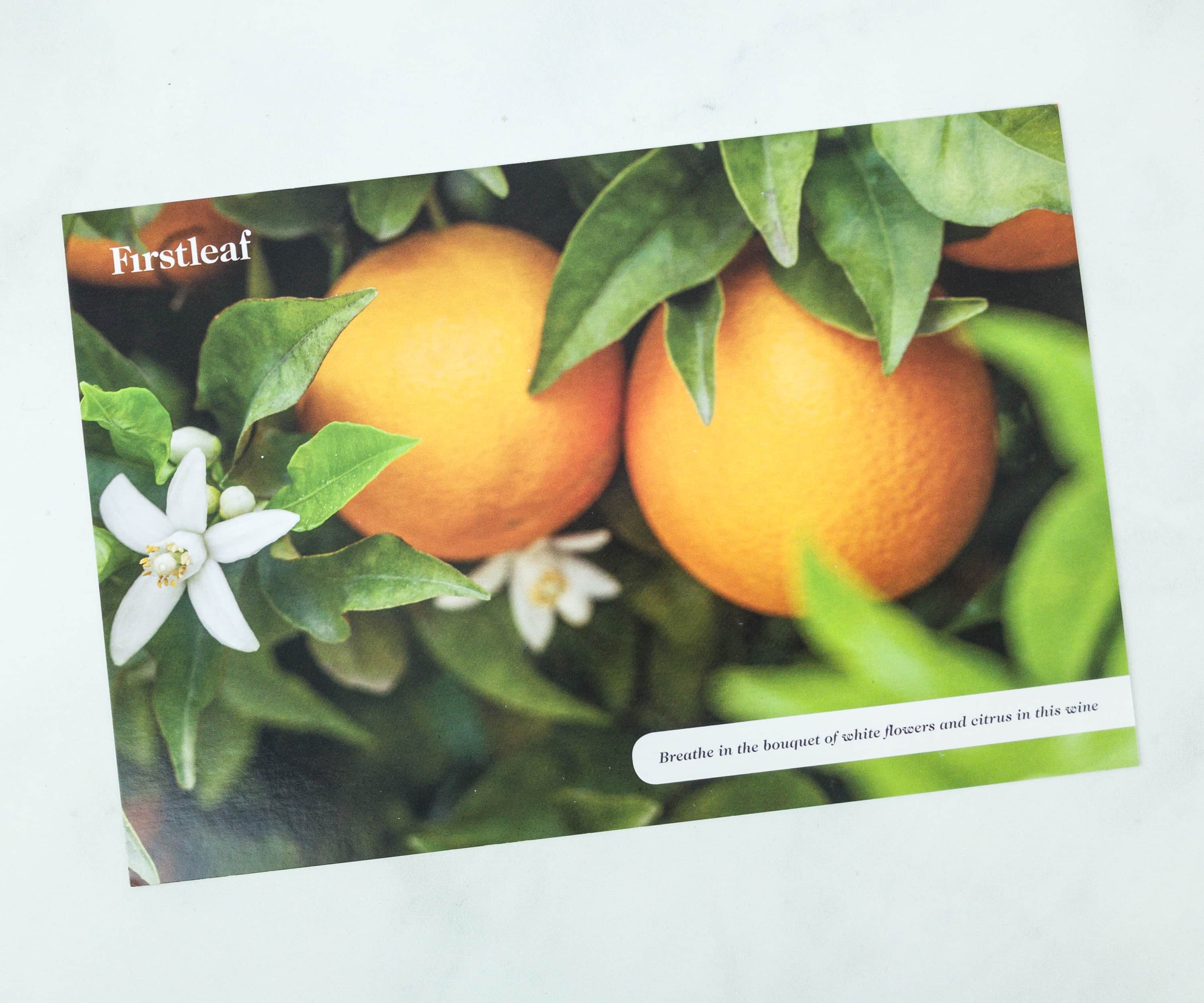 Firstleaf Wine Club February 2019 Subscription Box Review + Coupon ...