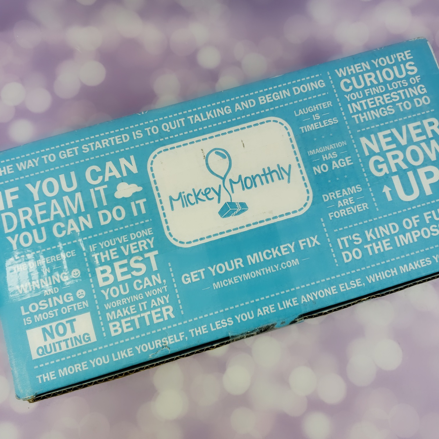 Mickey Monthly January 2019 Subscription Box Review + Coupon - Hello ...