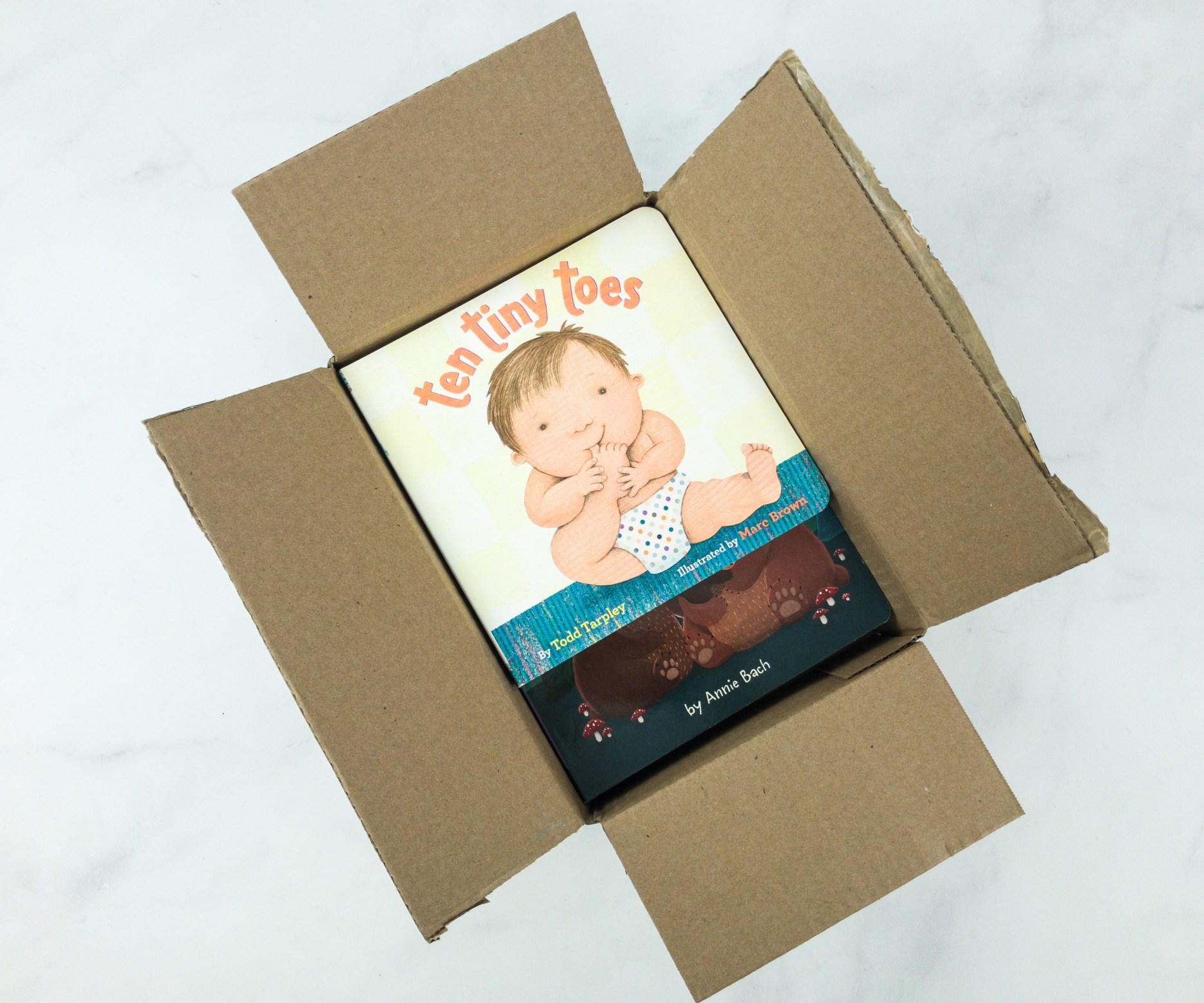 Amazon Book Box Kids February 2019 Review - Baby to 2 Years - Hello ...