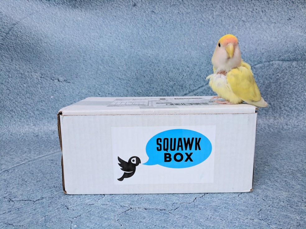 Squawk Box January 2019 Subscription Review - hello subscription