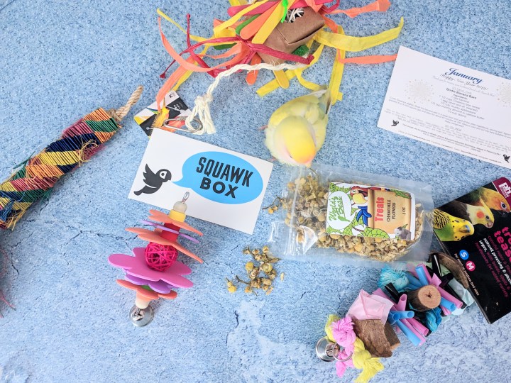 Squawk Box January 2019 Subscription Review - hello subscription