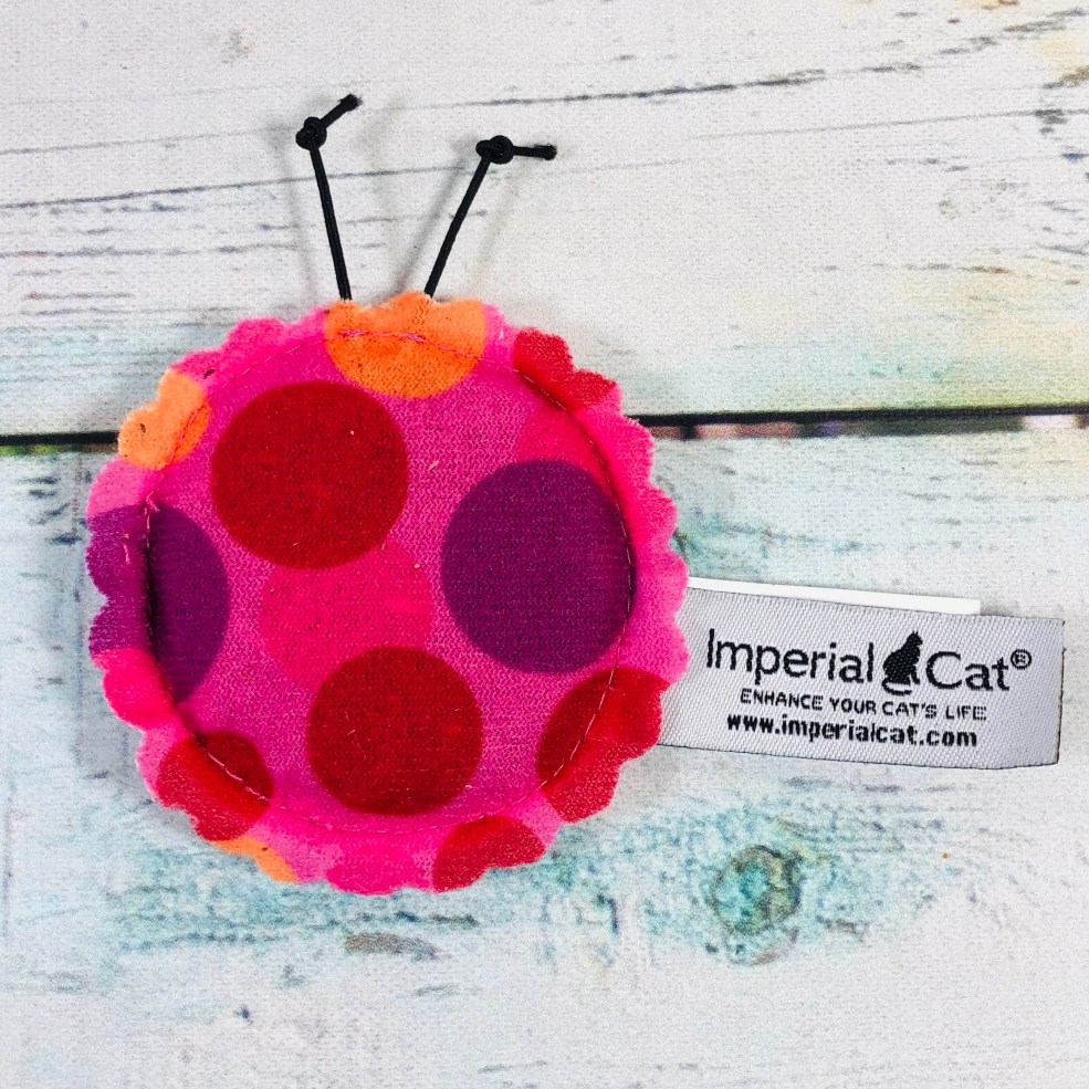 Cat Lady Box March 2019 Subscription Box Review + Coupon - hello ...