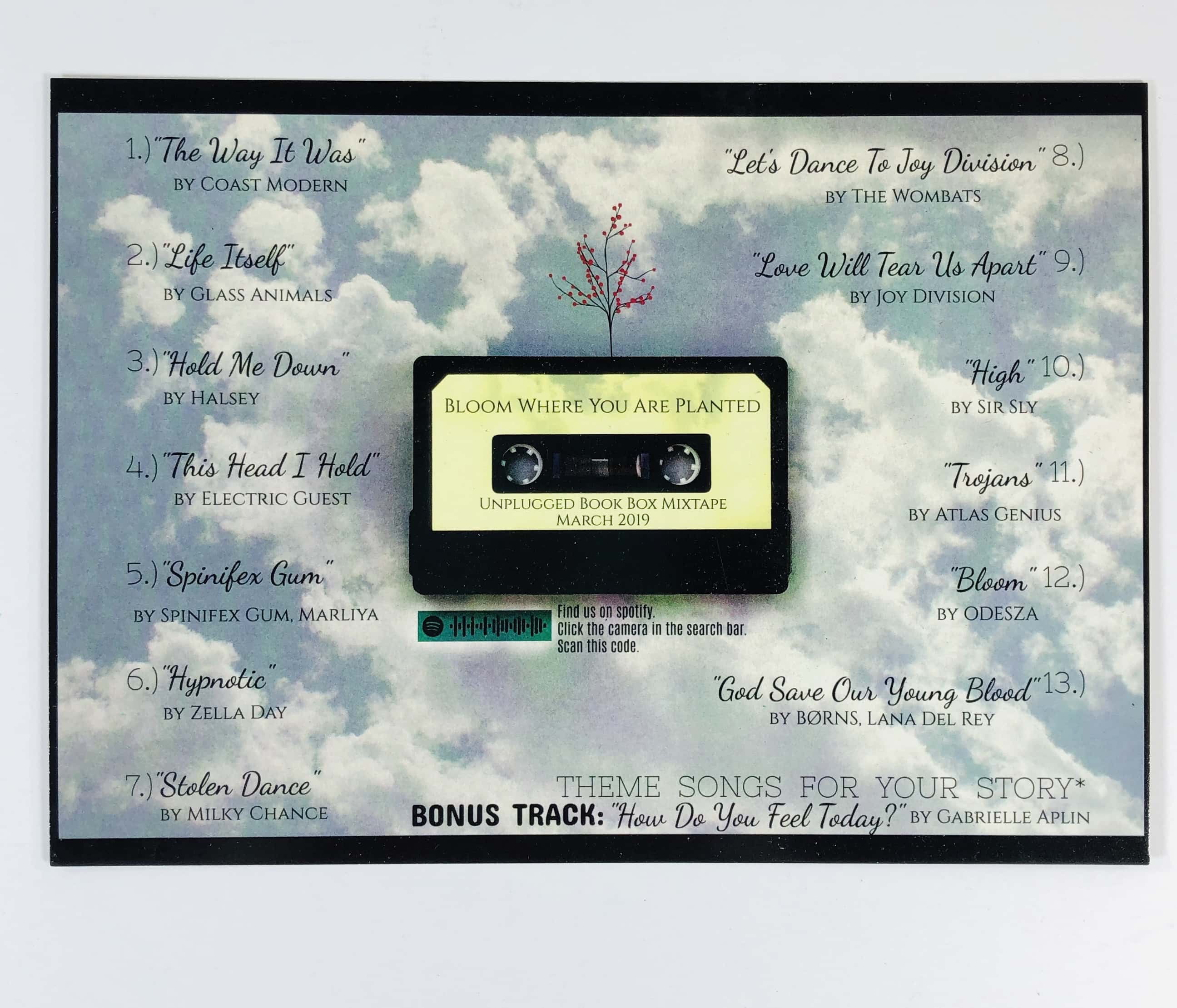 Unplugged Book Box Young Adult March 2019 Subscription Box Review ...