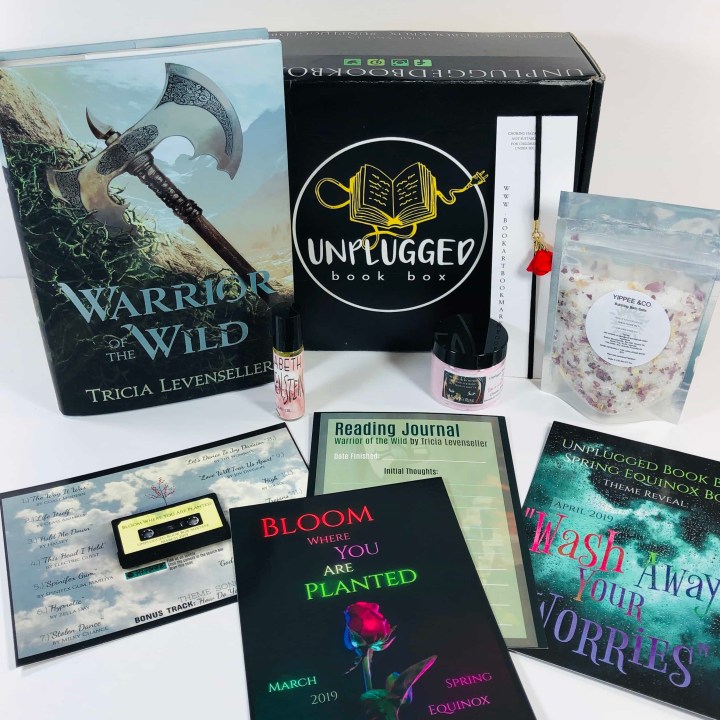 Unplugged Book Box Young Adult March 2019 Subscription Box Review ...
