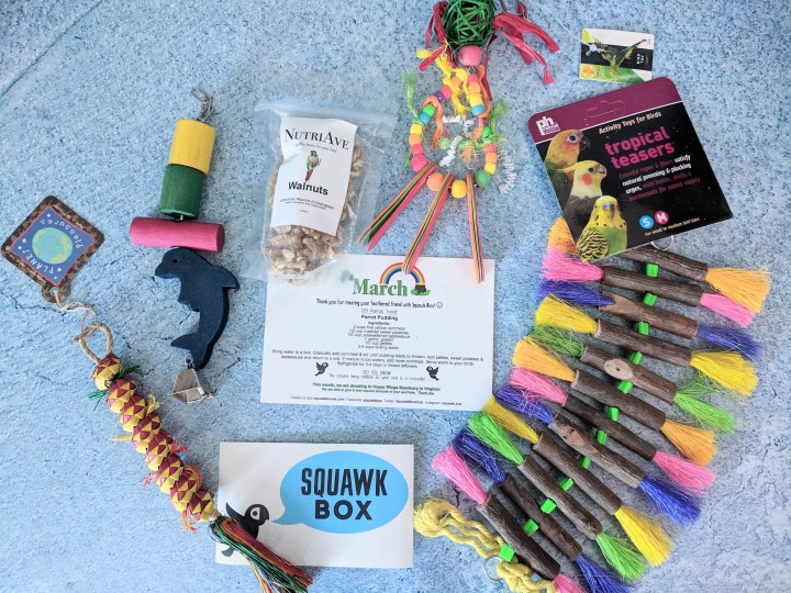 Squawk Box March 2019 Subscription Review - Hello Subscription