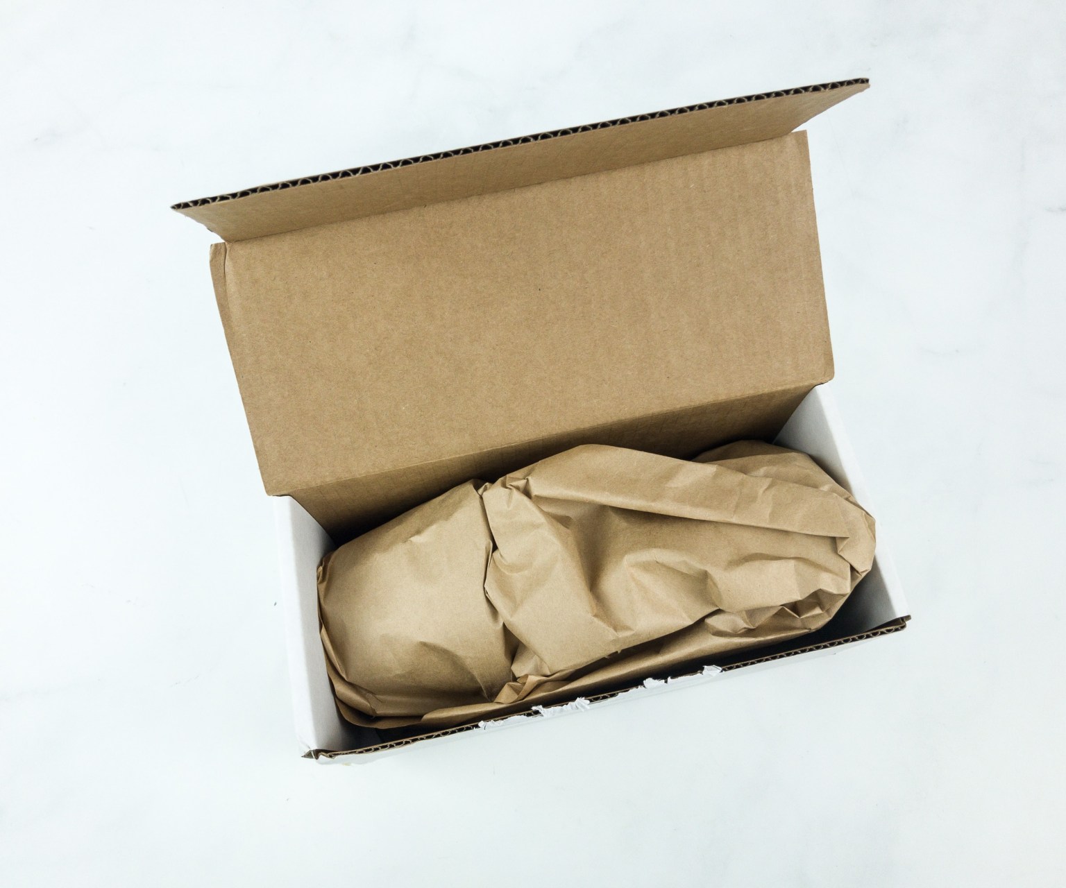 House Plant Box March 2019 Subscription Box Review - Hello Subscription