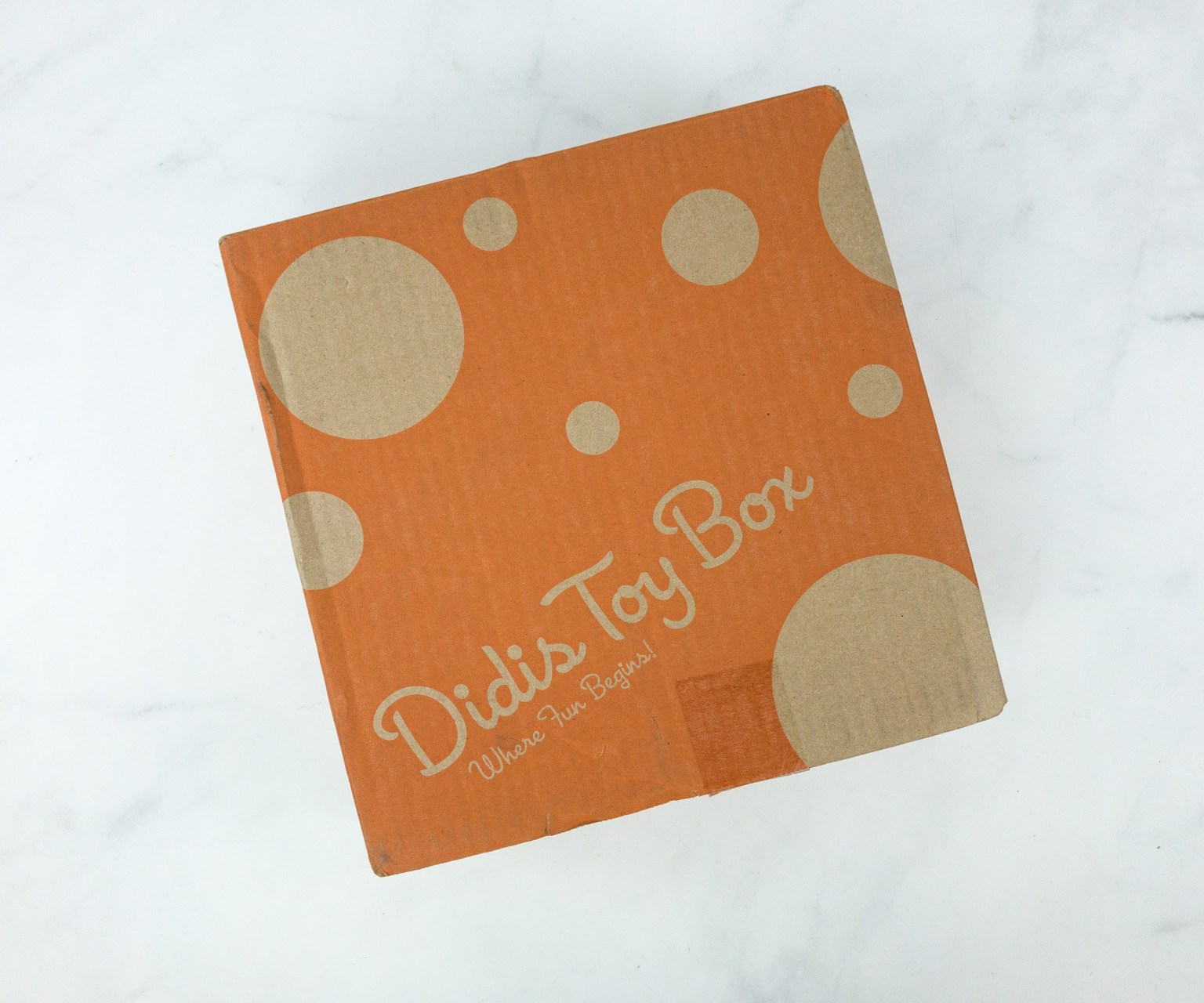 Didis Toy Box April 2019 Subscription Box Review & Coupon - Hello ...